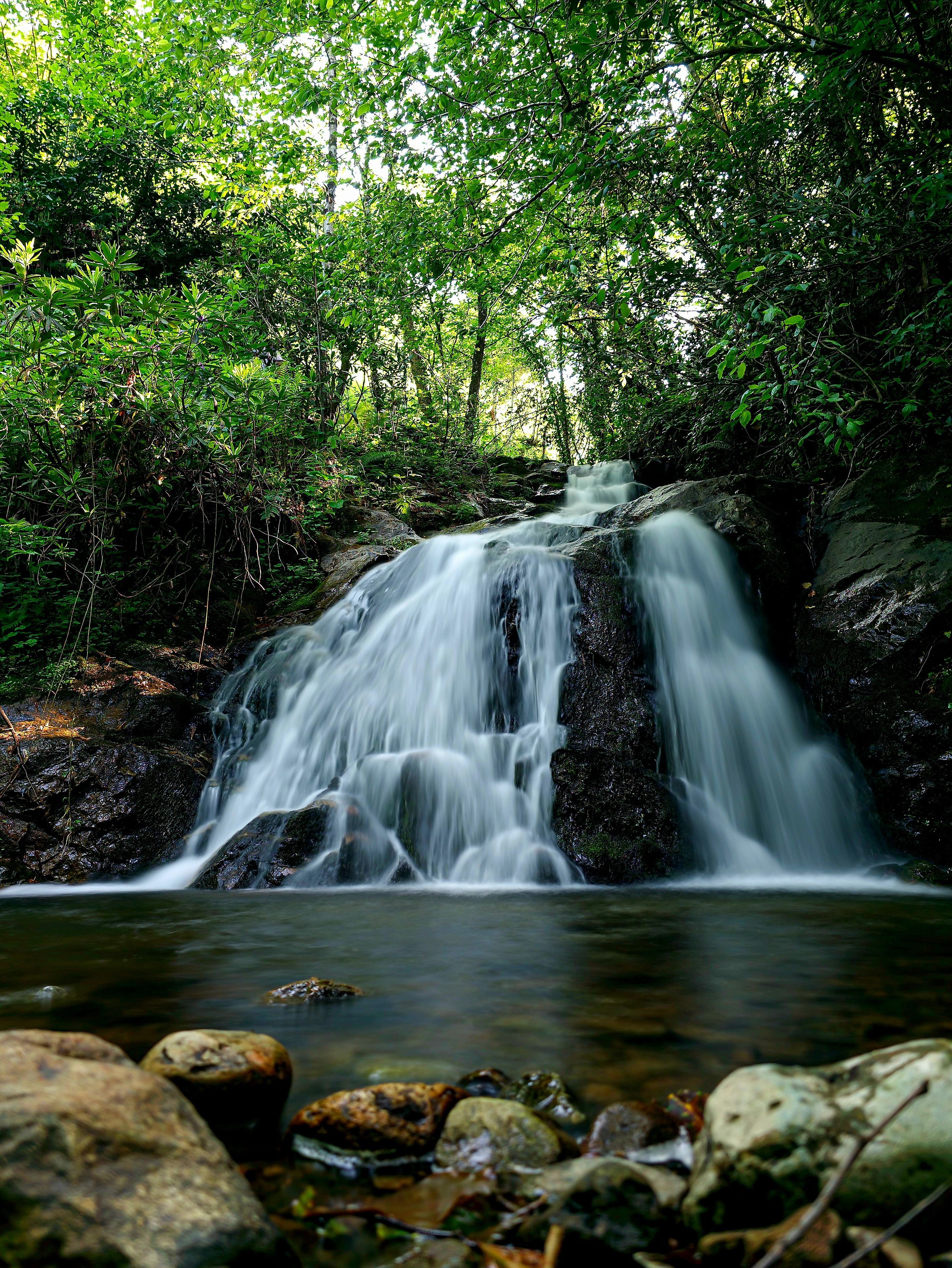 Serene Waterfall Flowing in Lush Forest · Free Stock Photo