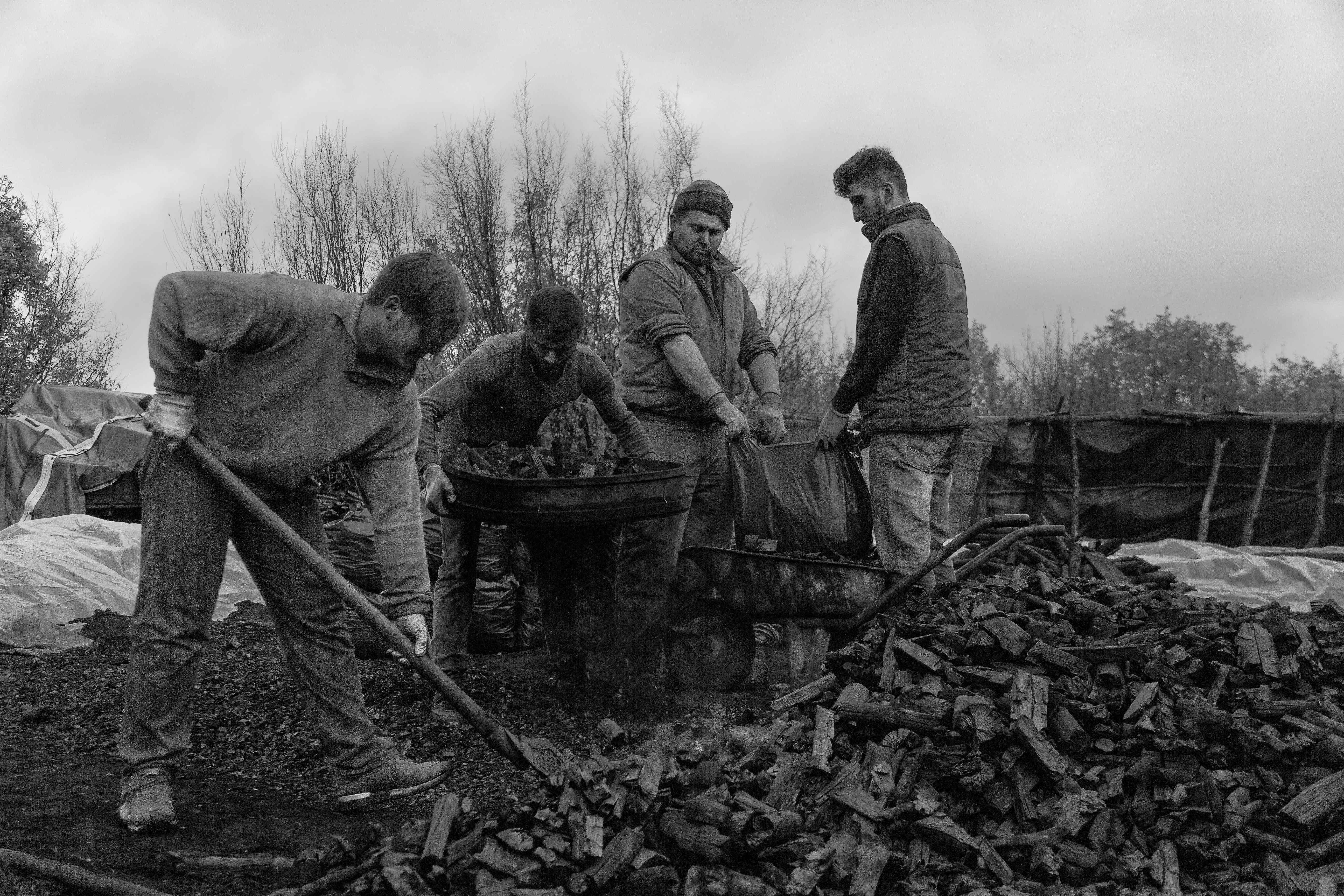 Black Laborers Photos, Download The BEST Free Black Laborers Stock ...