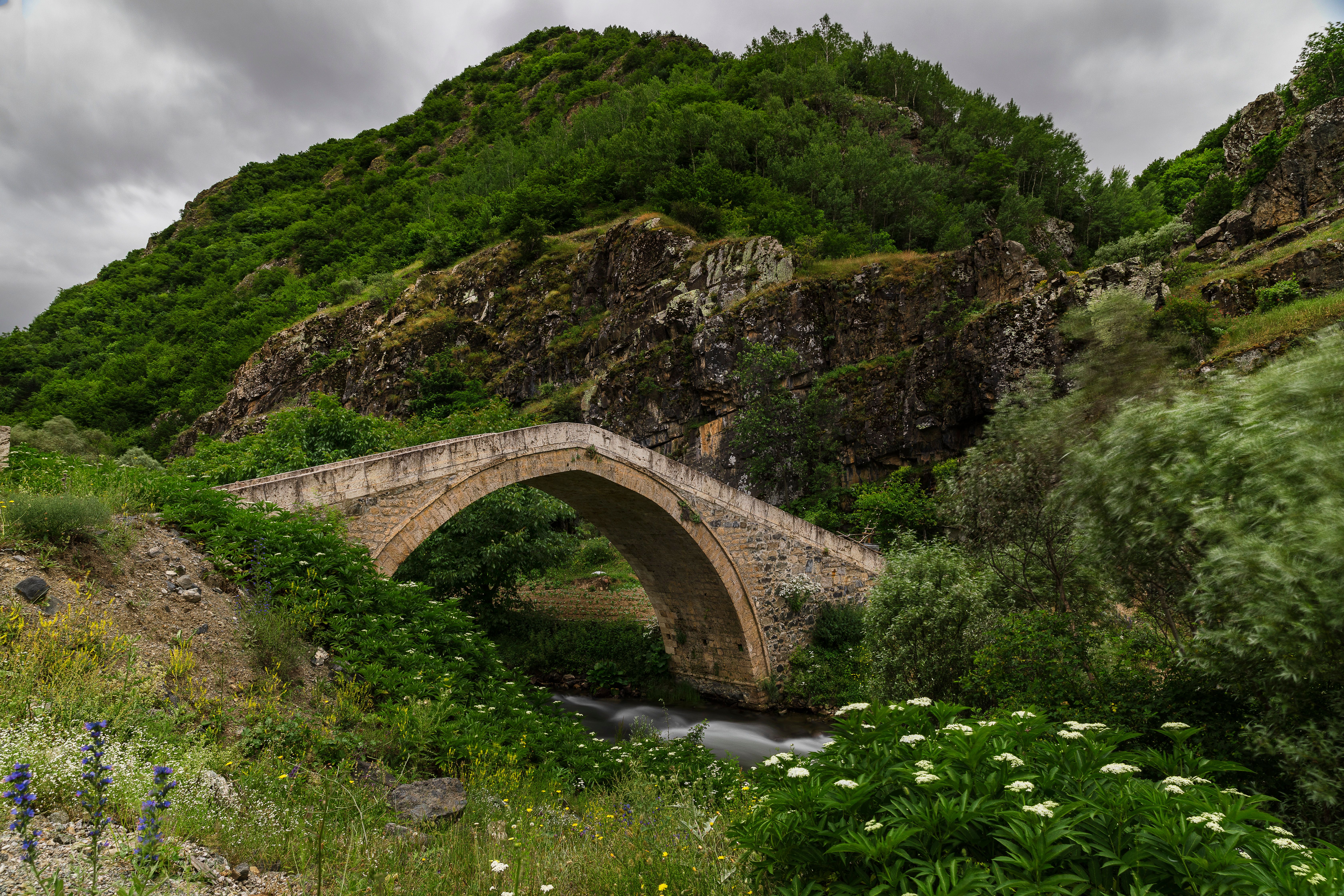 Historic Stone Bridge in Verdant Landscape · Free Stock Photo