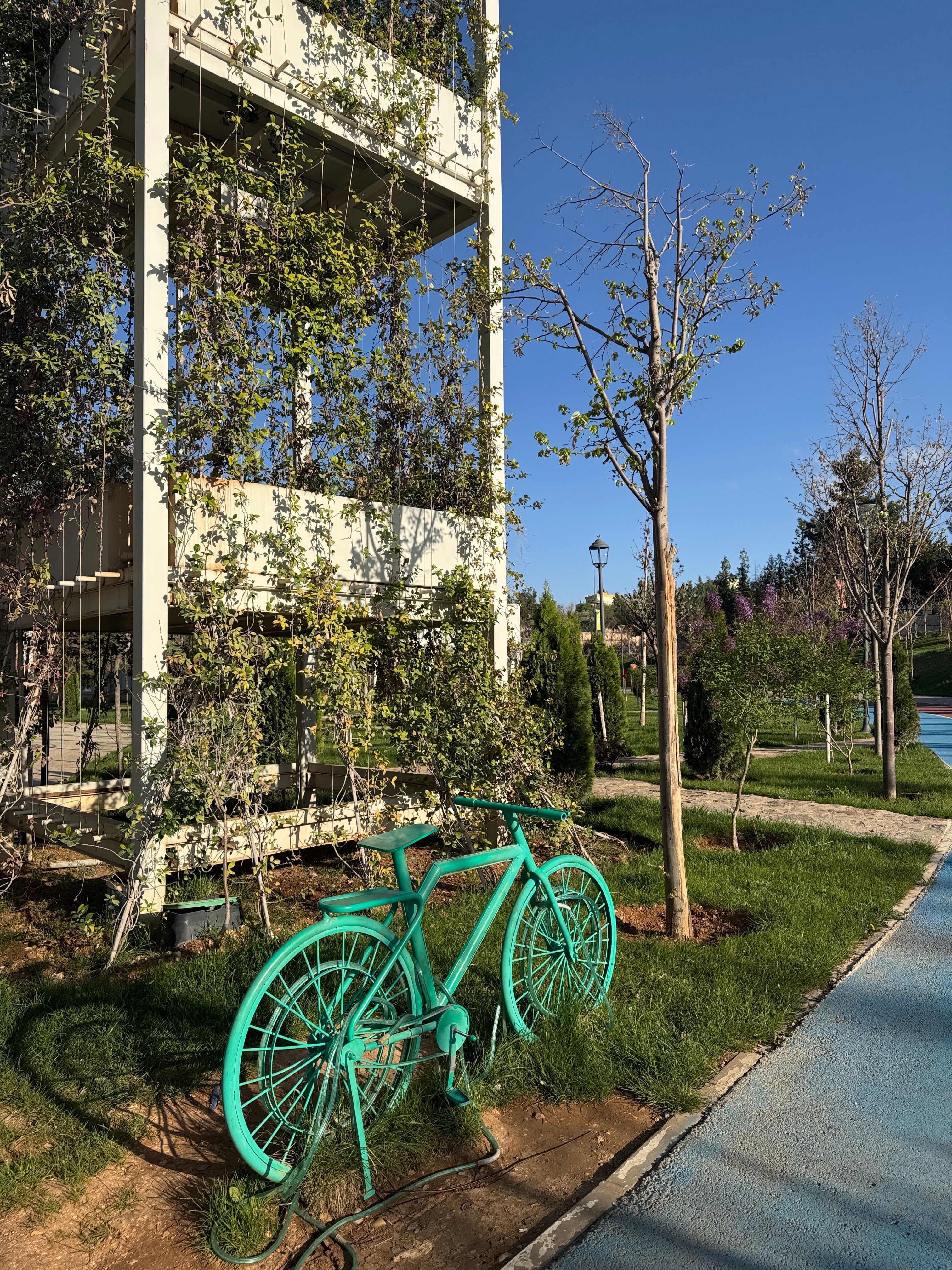 Turquoise Bicycle in Green Urban Landscape Setting · Free Stock Photo