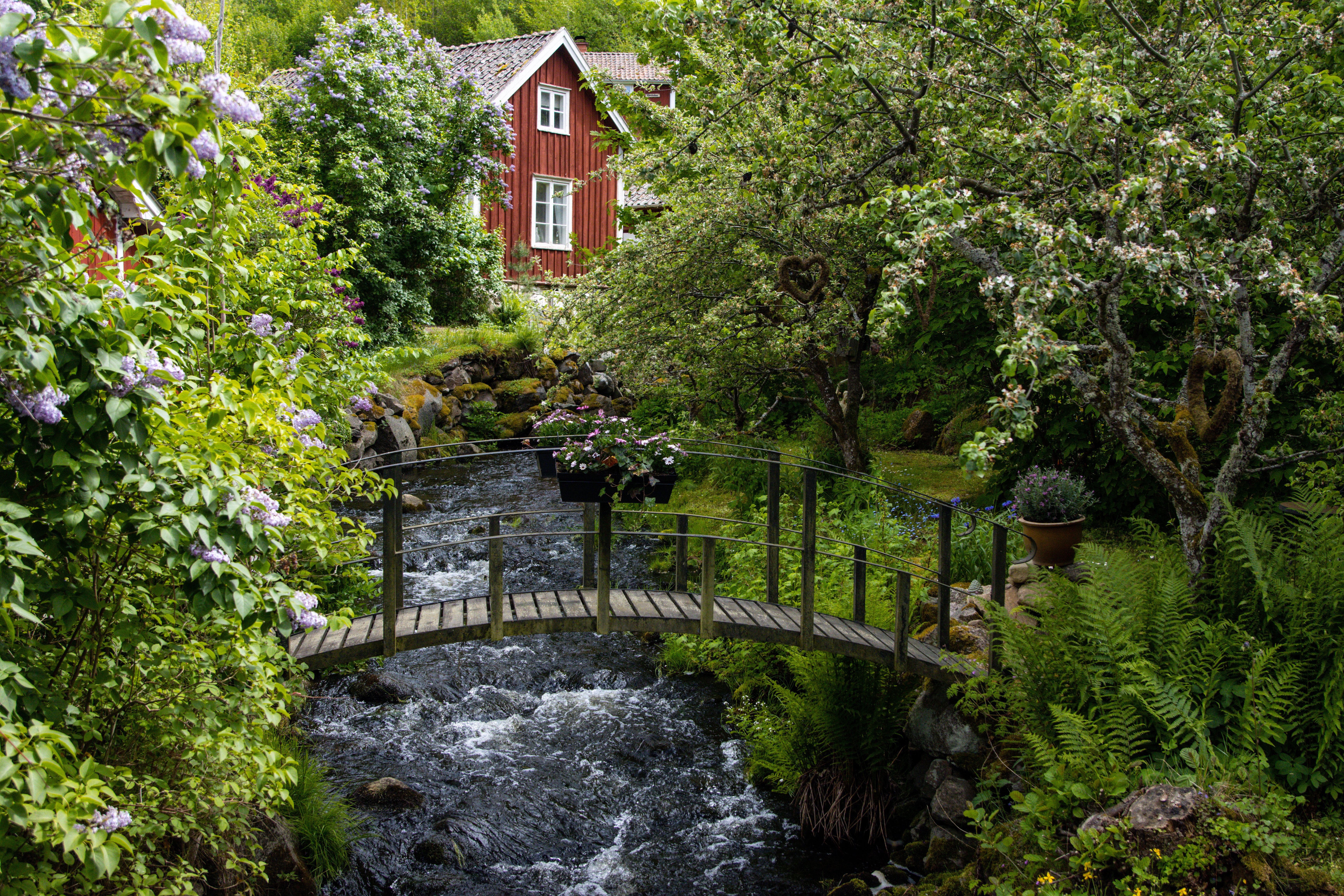 Scenic Swedish Countryside with Wooden Bridge · Free Stock Photo