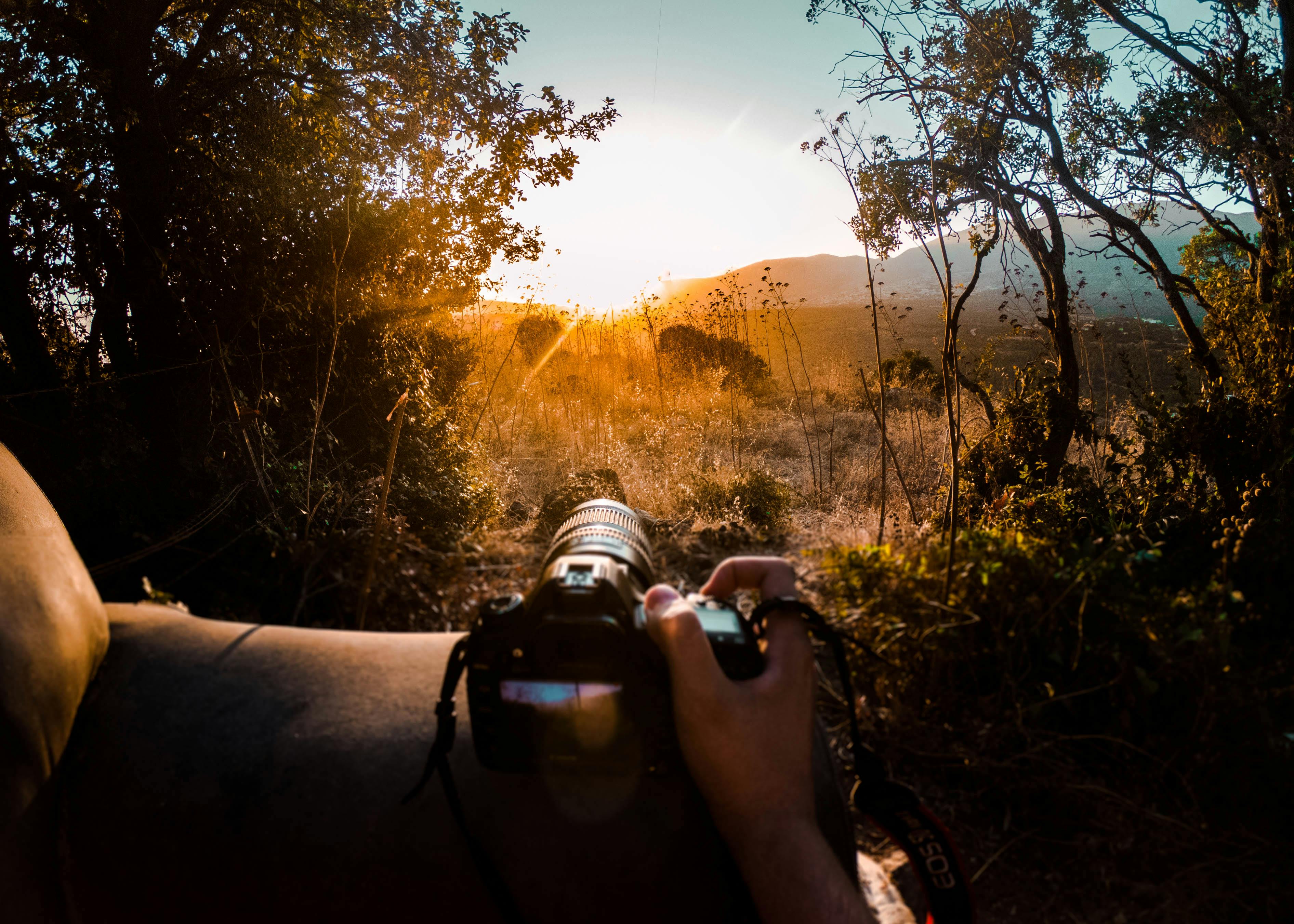Camera Forest Photos, Download Free Camera Forest Stock Photos & HD Images