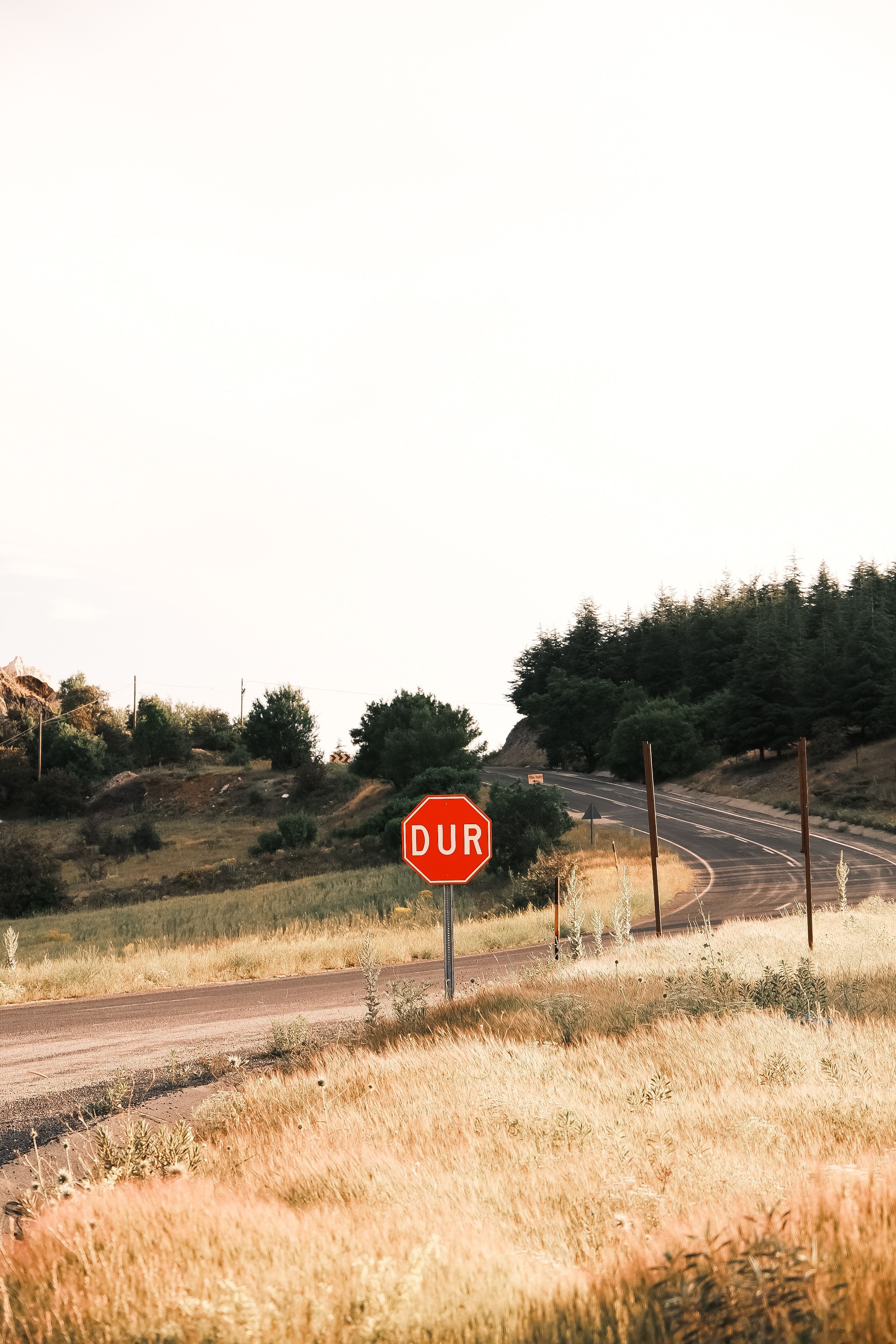 Scenic Road with Turkish 'Dur' Stop Sign · Free Stock Photo