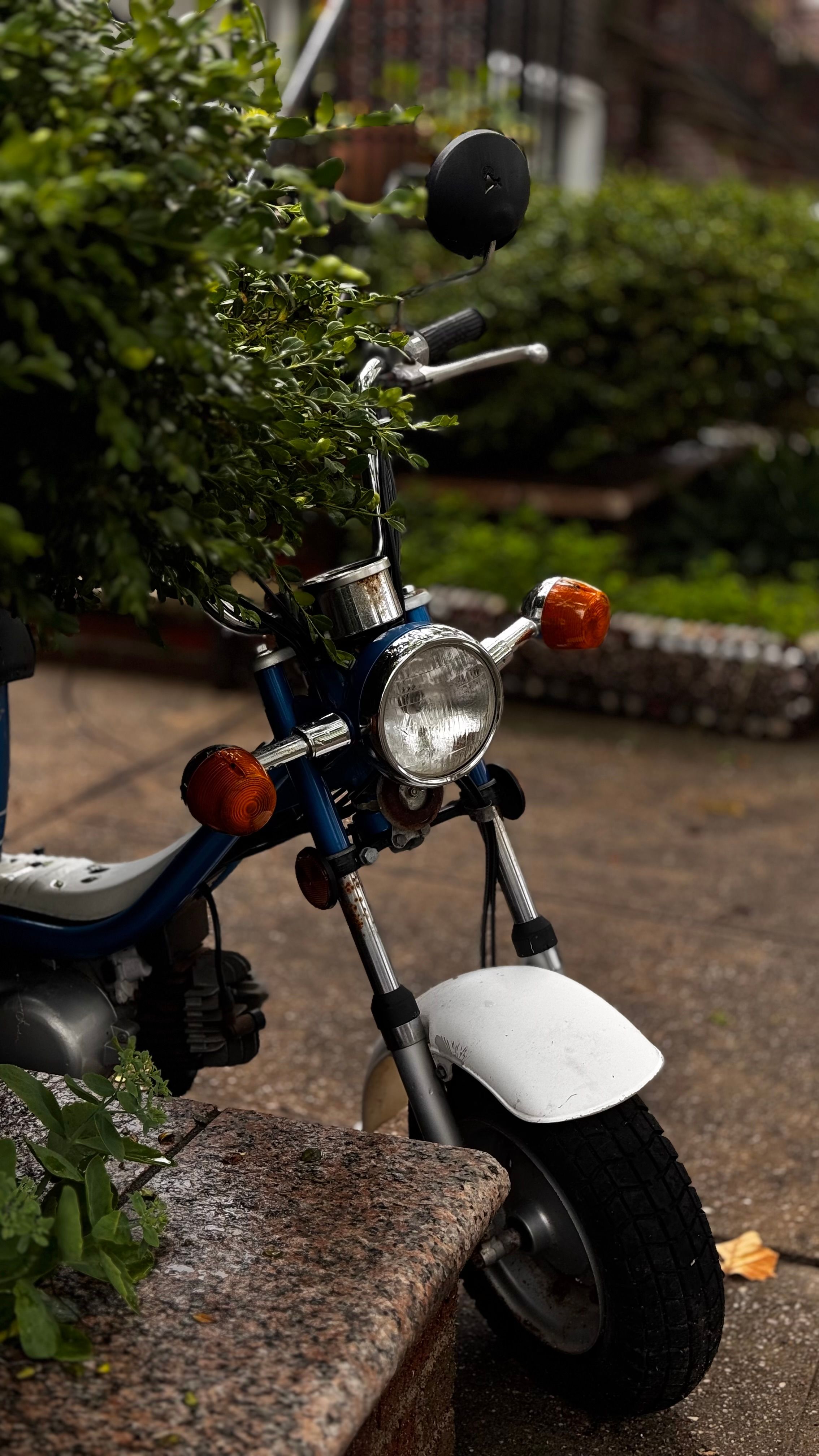 Parked Vintage Motorcycle in Garden Setting · Free Stock Photo
