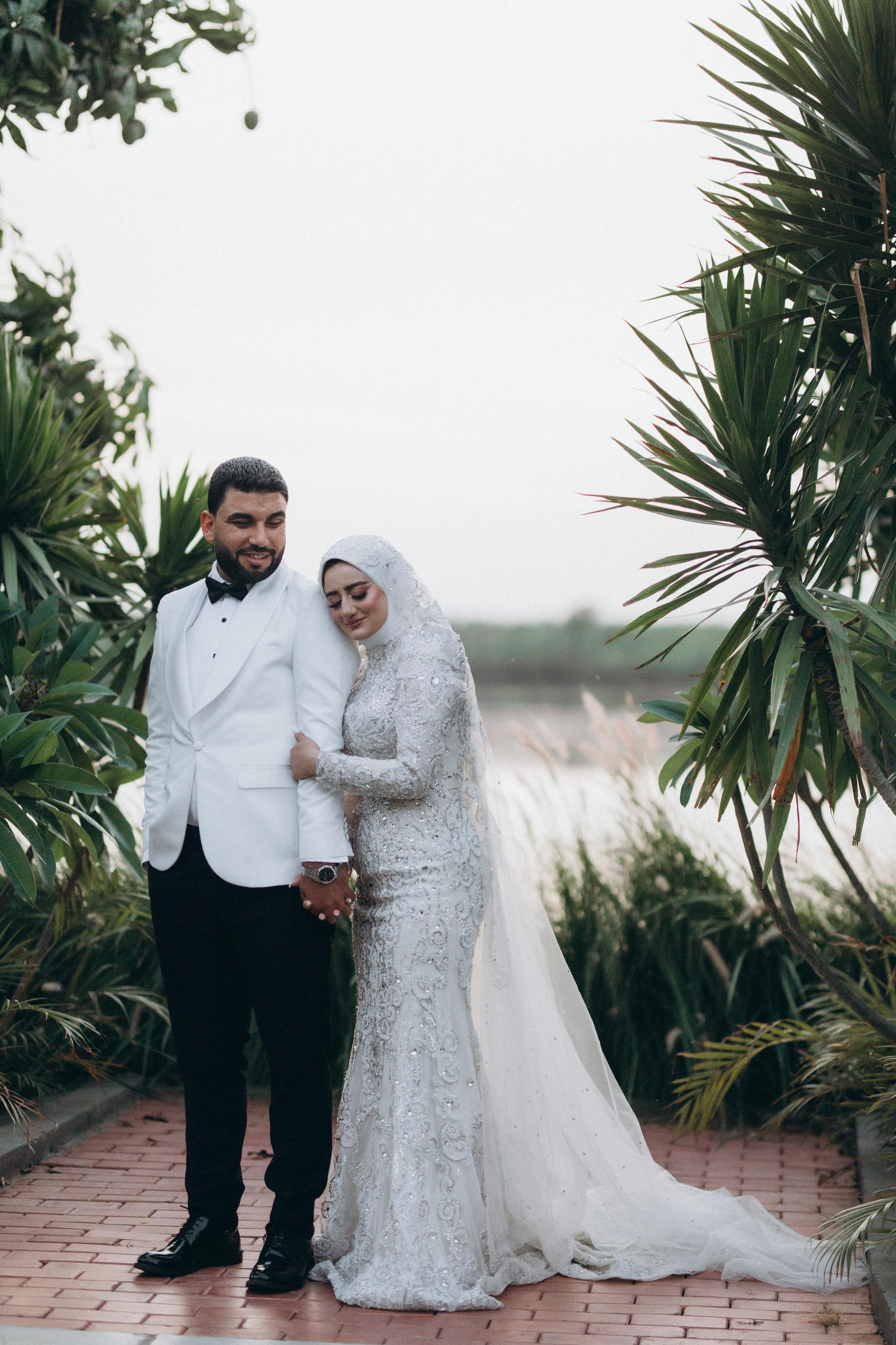 Elegant And Formal Background Photos, Download The BEST Free Elegant ...