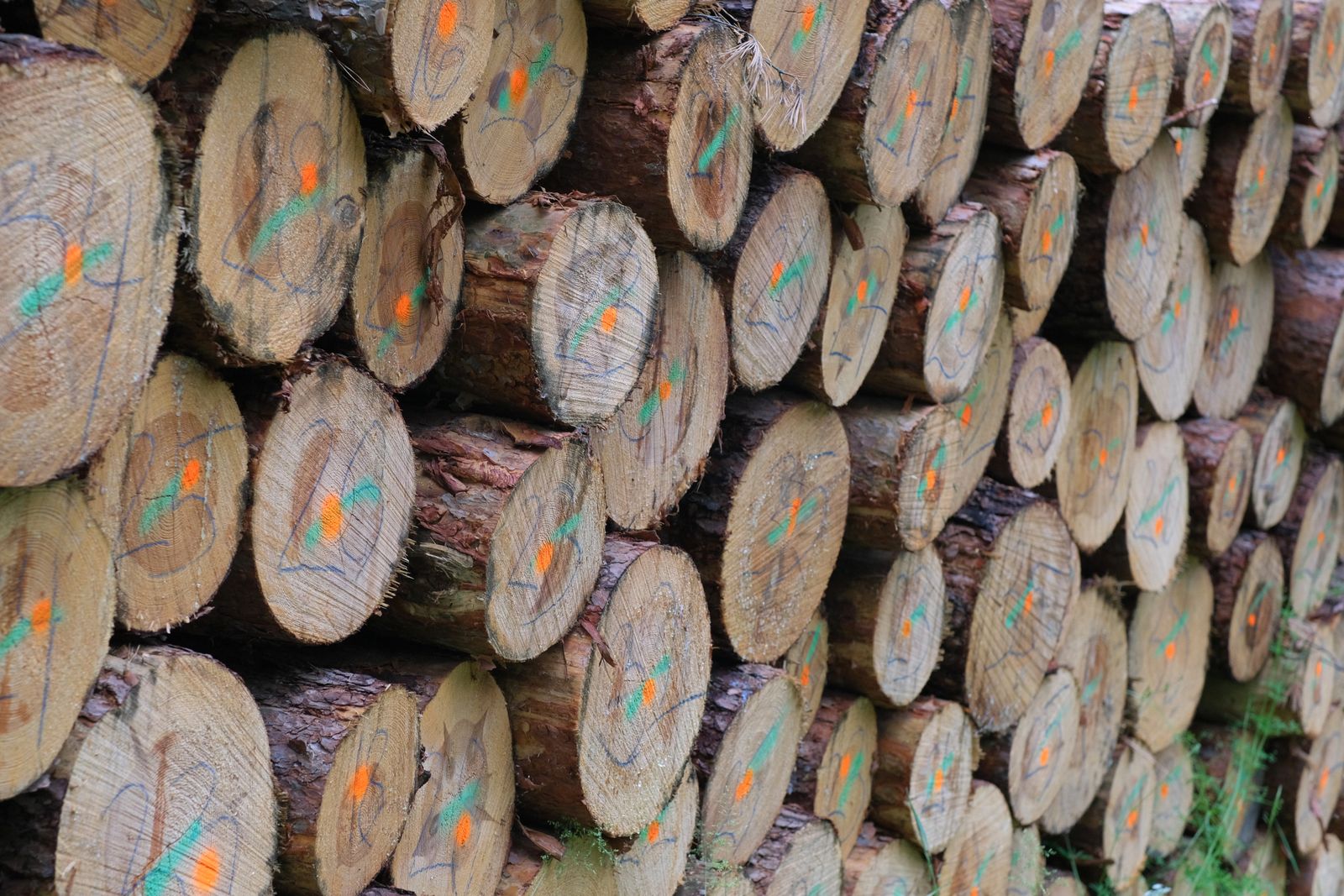 Wood Logs Photos, Download The BEST Free Wood Logs Stock Photos & HD Images
