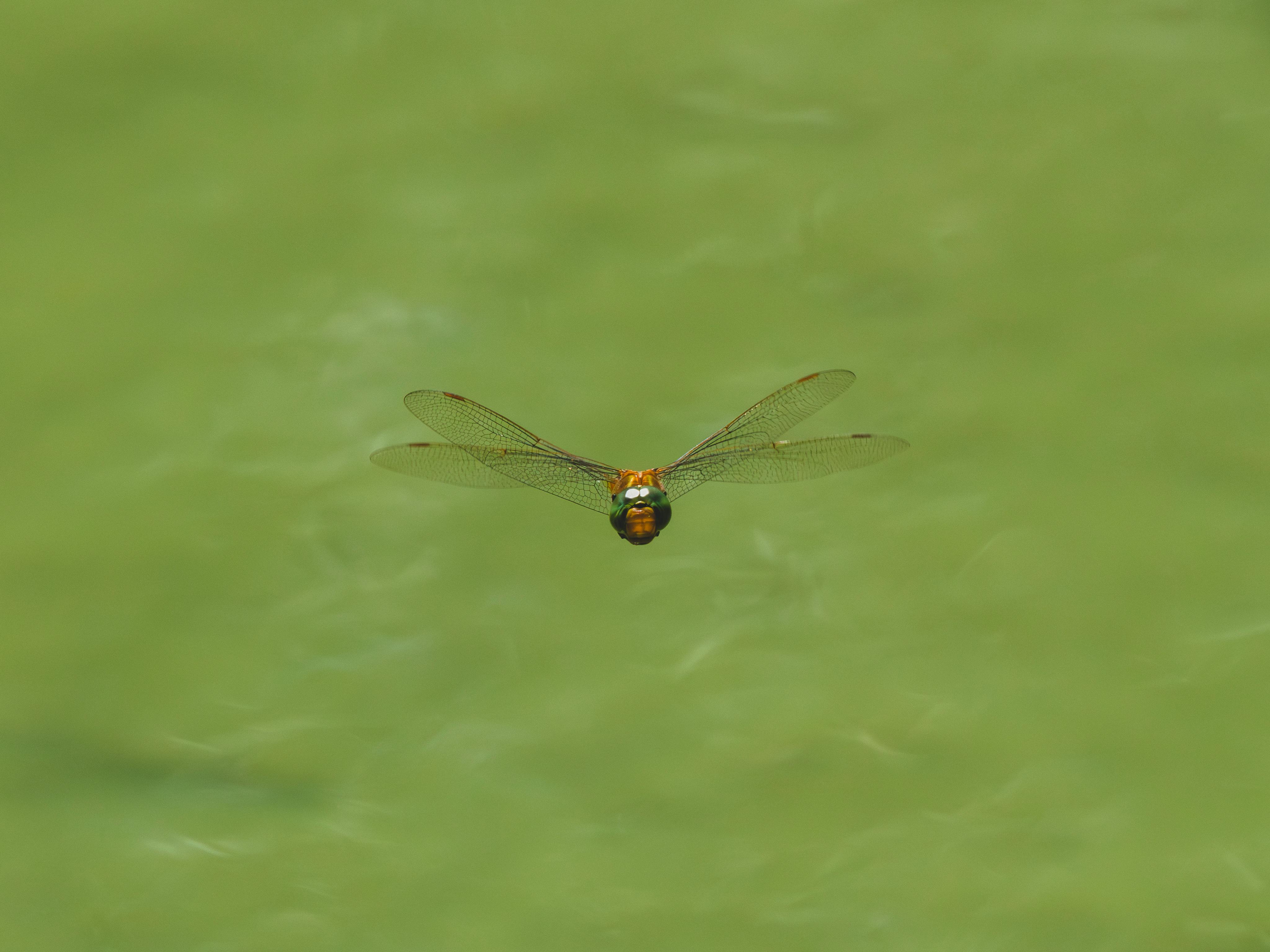 IStock Background Photos, Download The BEST Free IStock Background ...