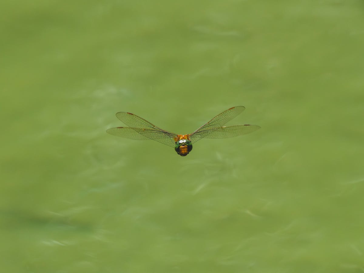 IStock Background Photos, Download The BEST Free IStock Background ...