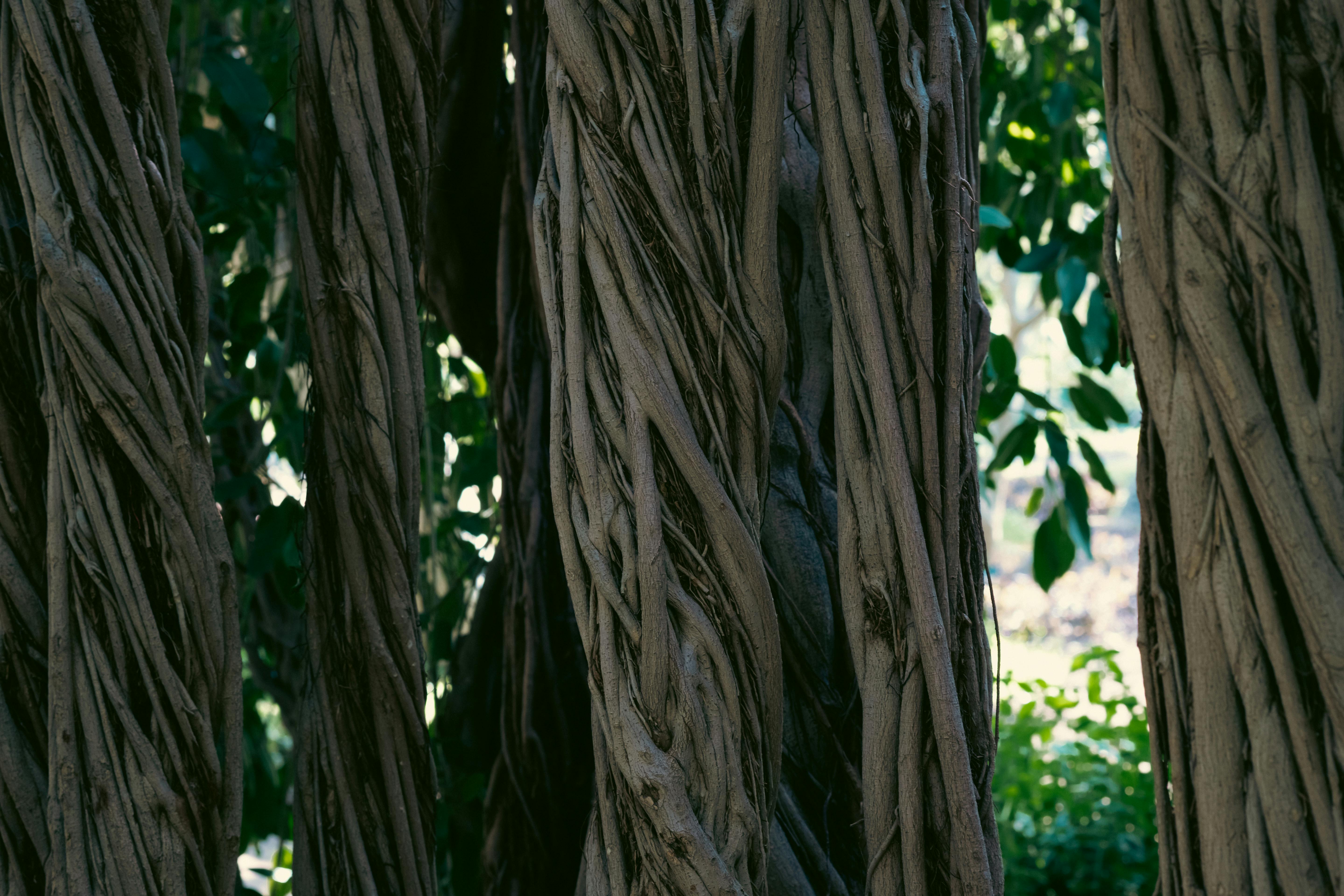 IStock Background Photos, Download The BEST Free IStock Background ...