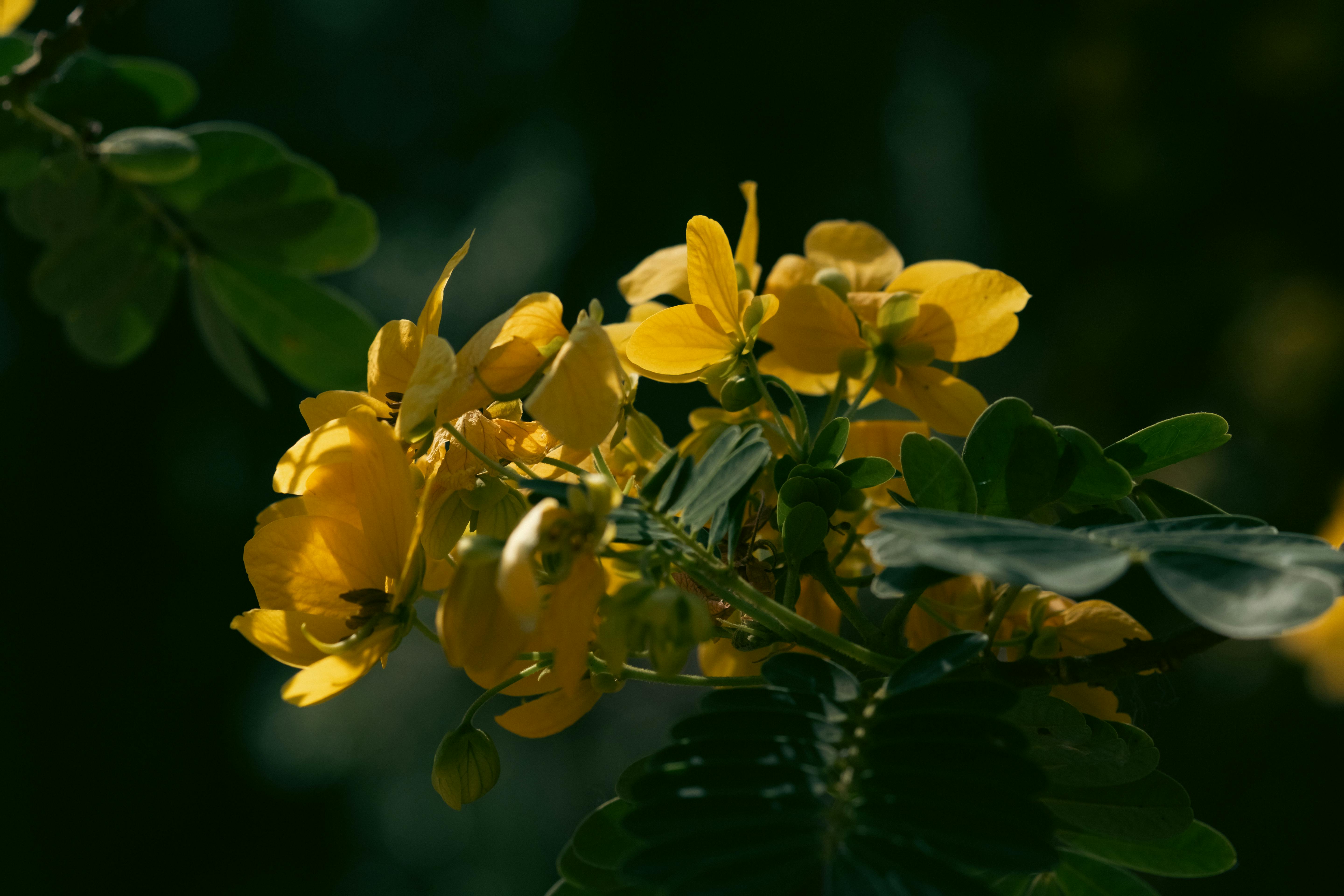 IStock Background Photos, Download The BEST Free IStock Background ...