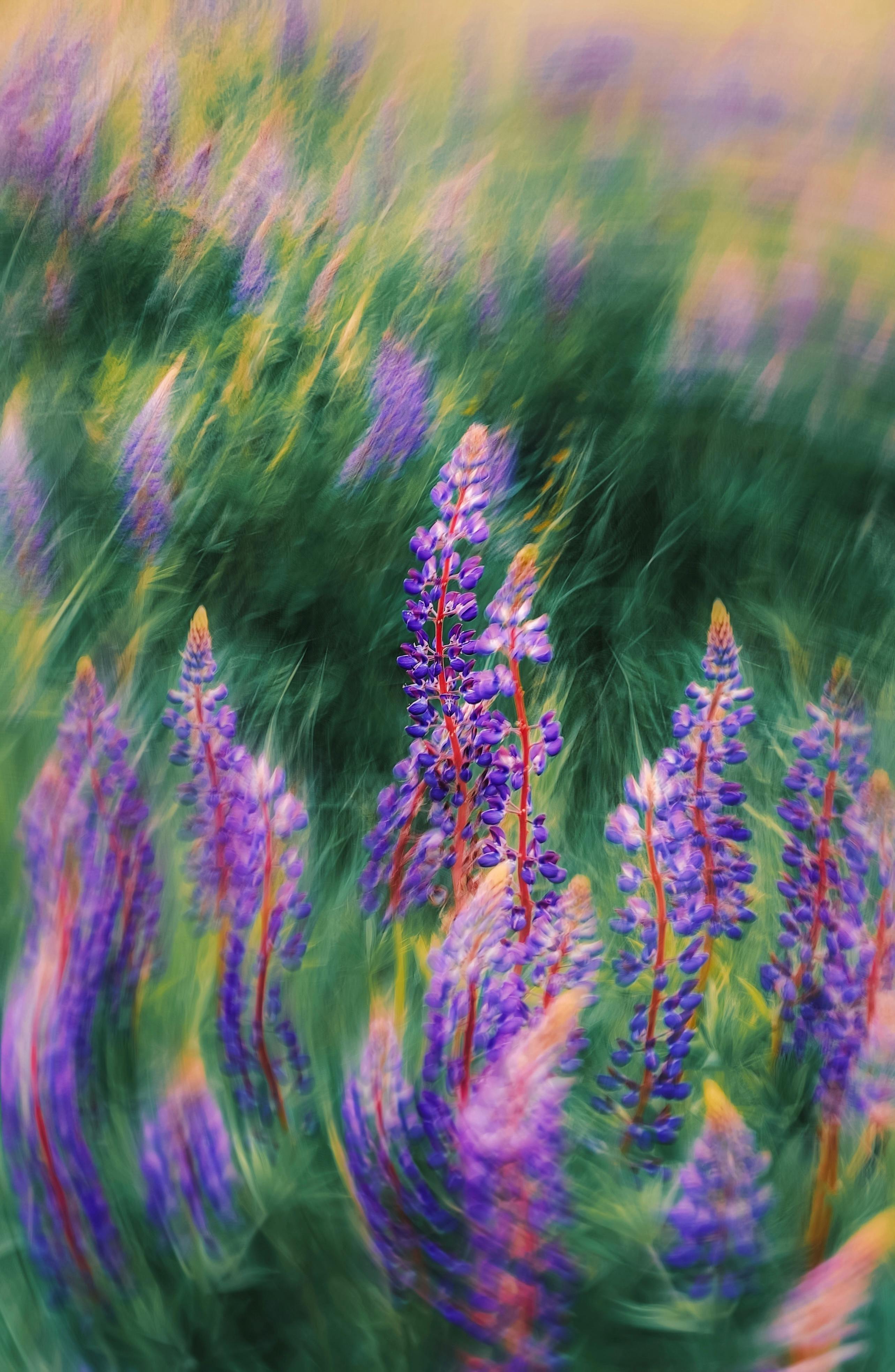 IStock Background Photos, Download The BEST Free IStock Background ...