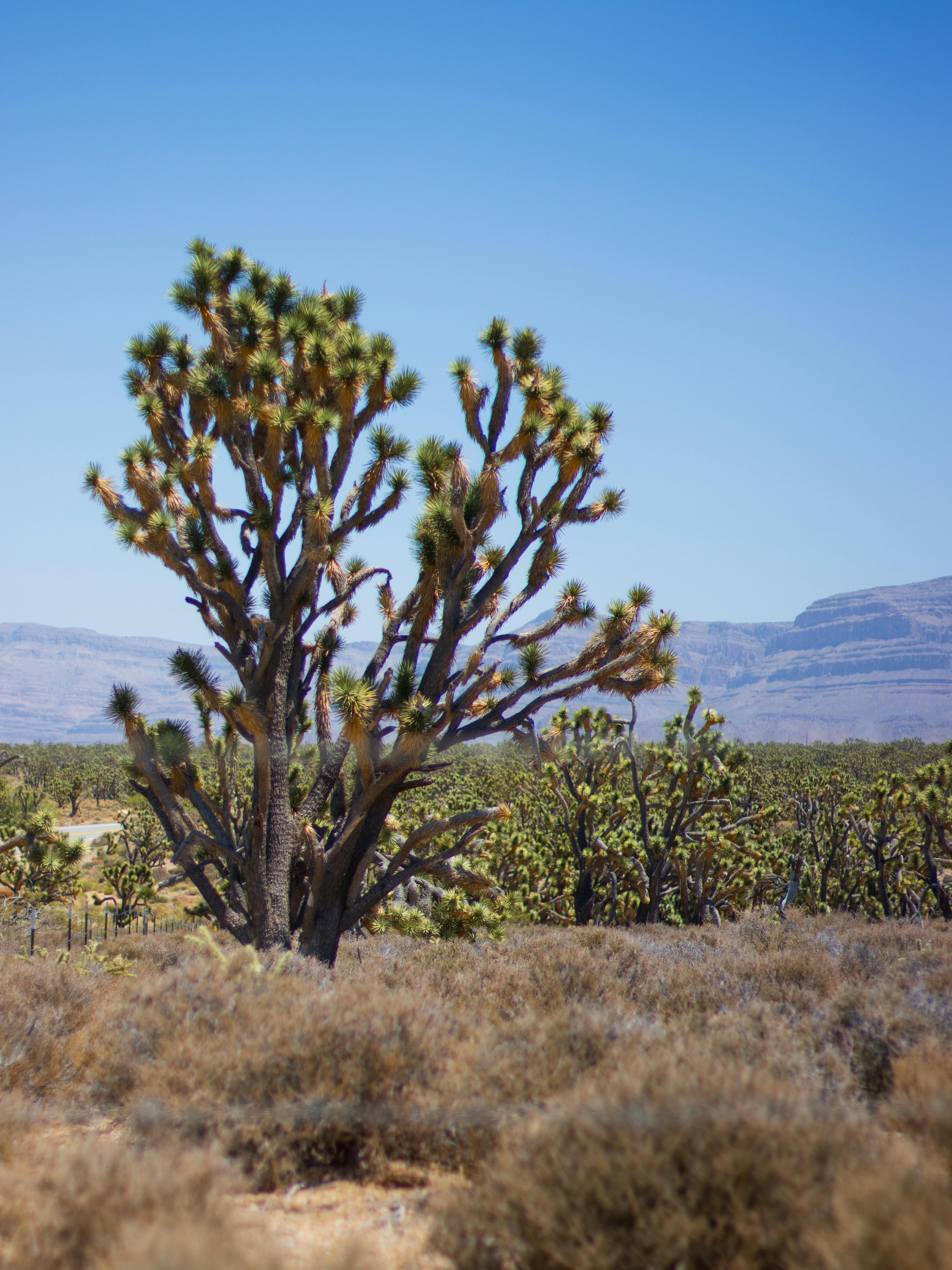 226,486+以上の無料4k wallpaper car lock screen for laptop画像