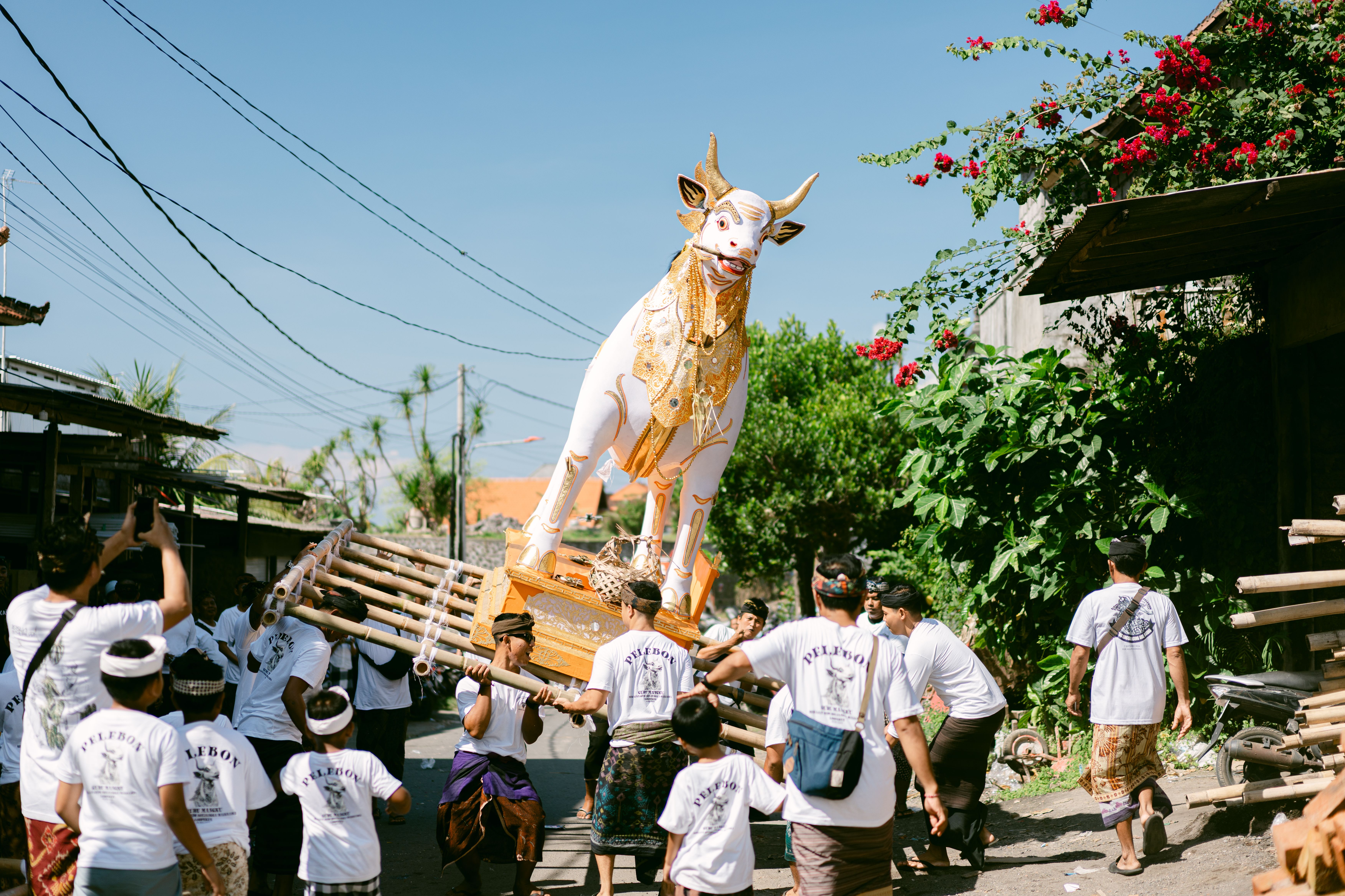 Traditional Balinese Funeral Procession with Bull Effigy · Free Stock Photo