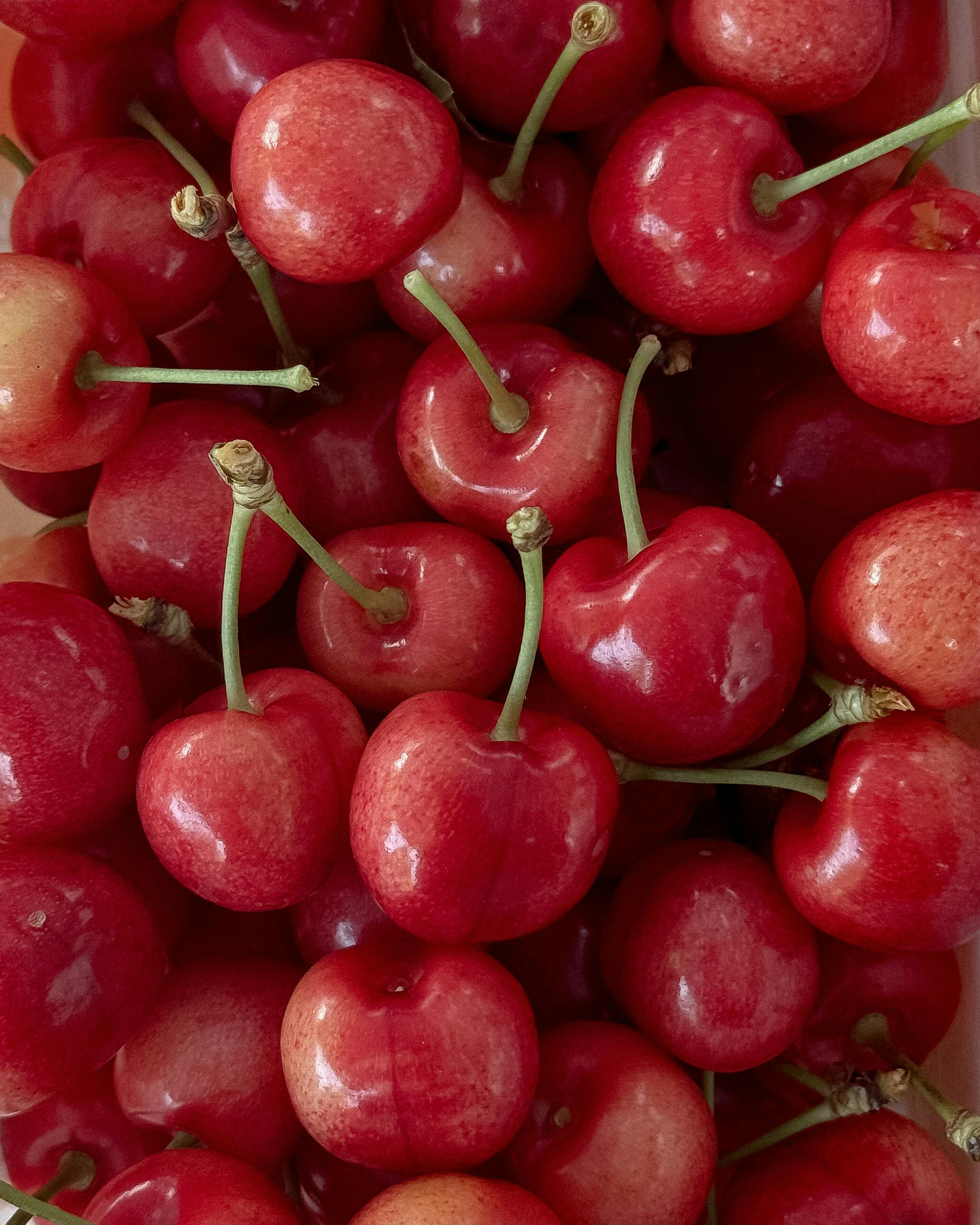 Tom Cherry Photos, Download The BEST Free Tom Cherry Stock Photos & HD ...