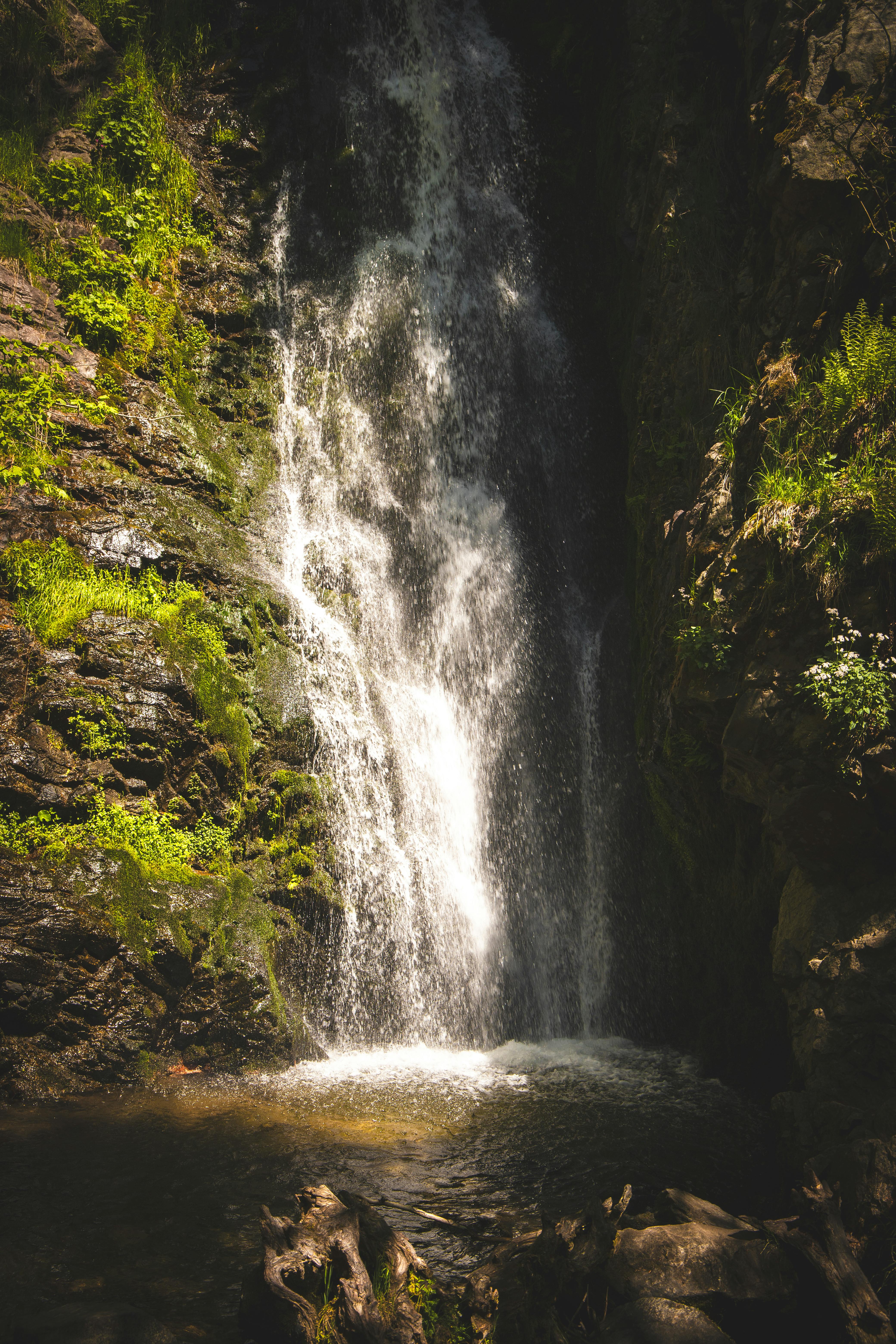 Spray Clor Photos, Download The BEST Free Spray Clor Stock Photos & HD ...