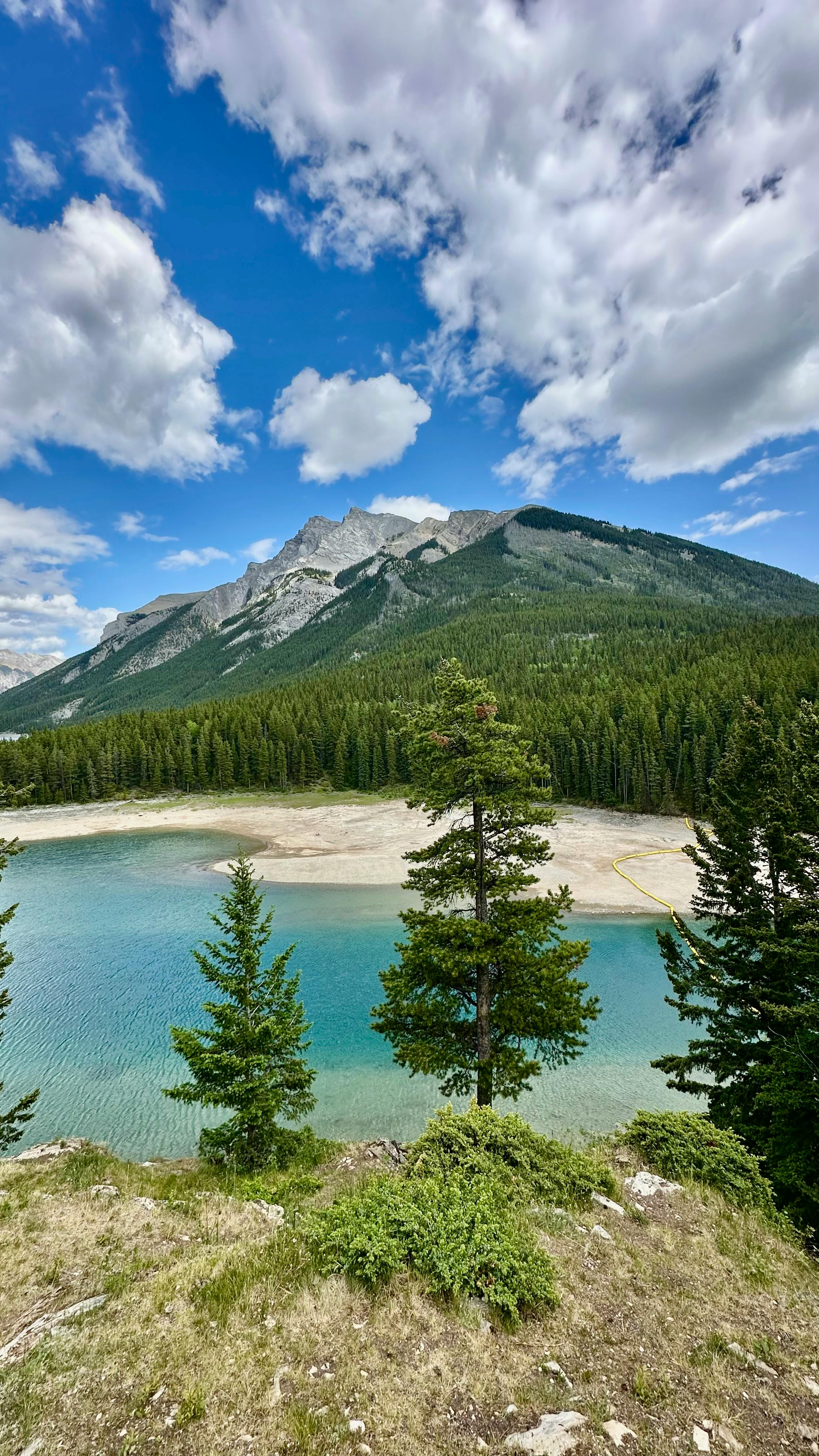 Mountain Forest Photos, Download The BEST Free Mountain Forest Stock ...