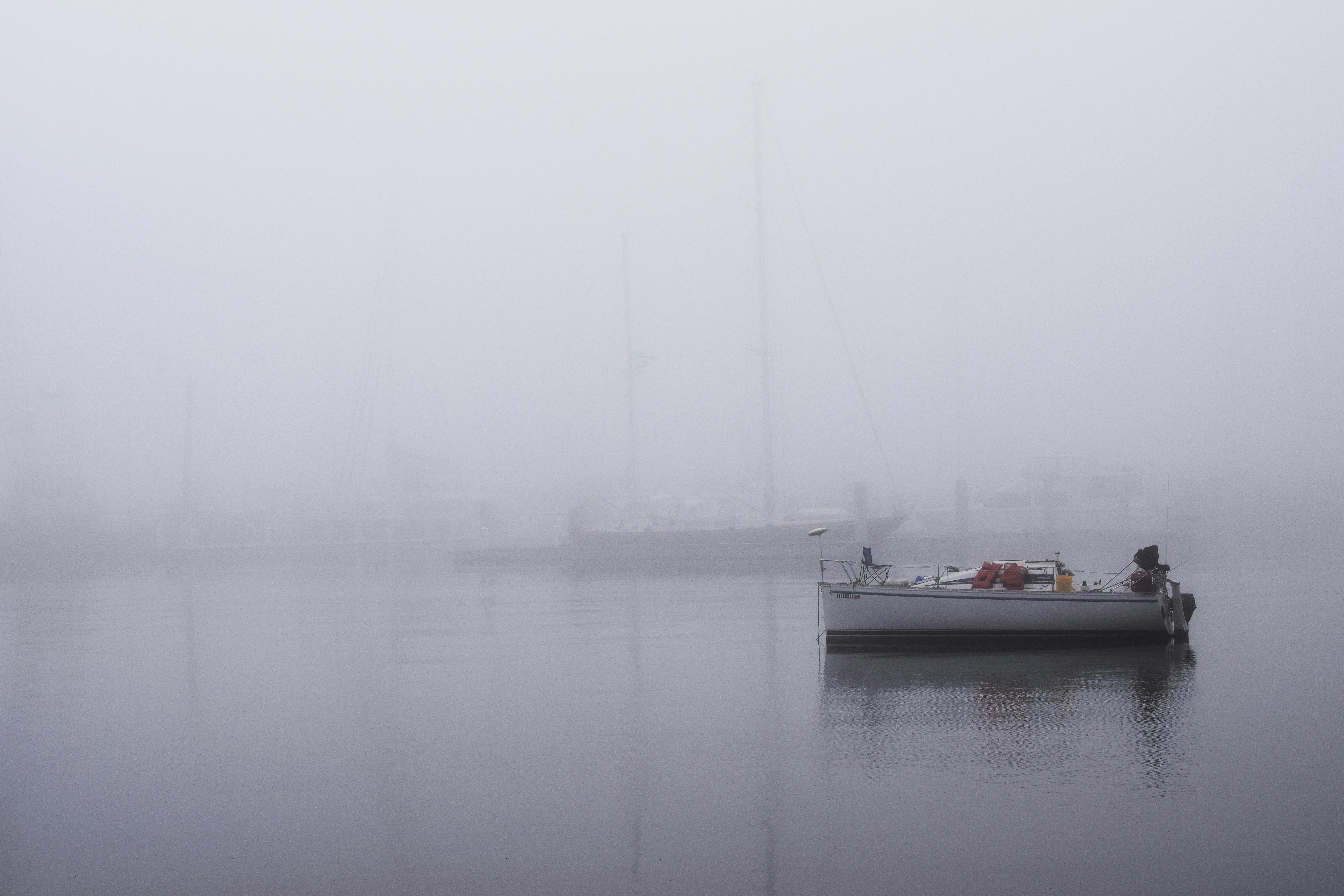 Free stock photo of bay, boat, fog