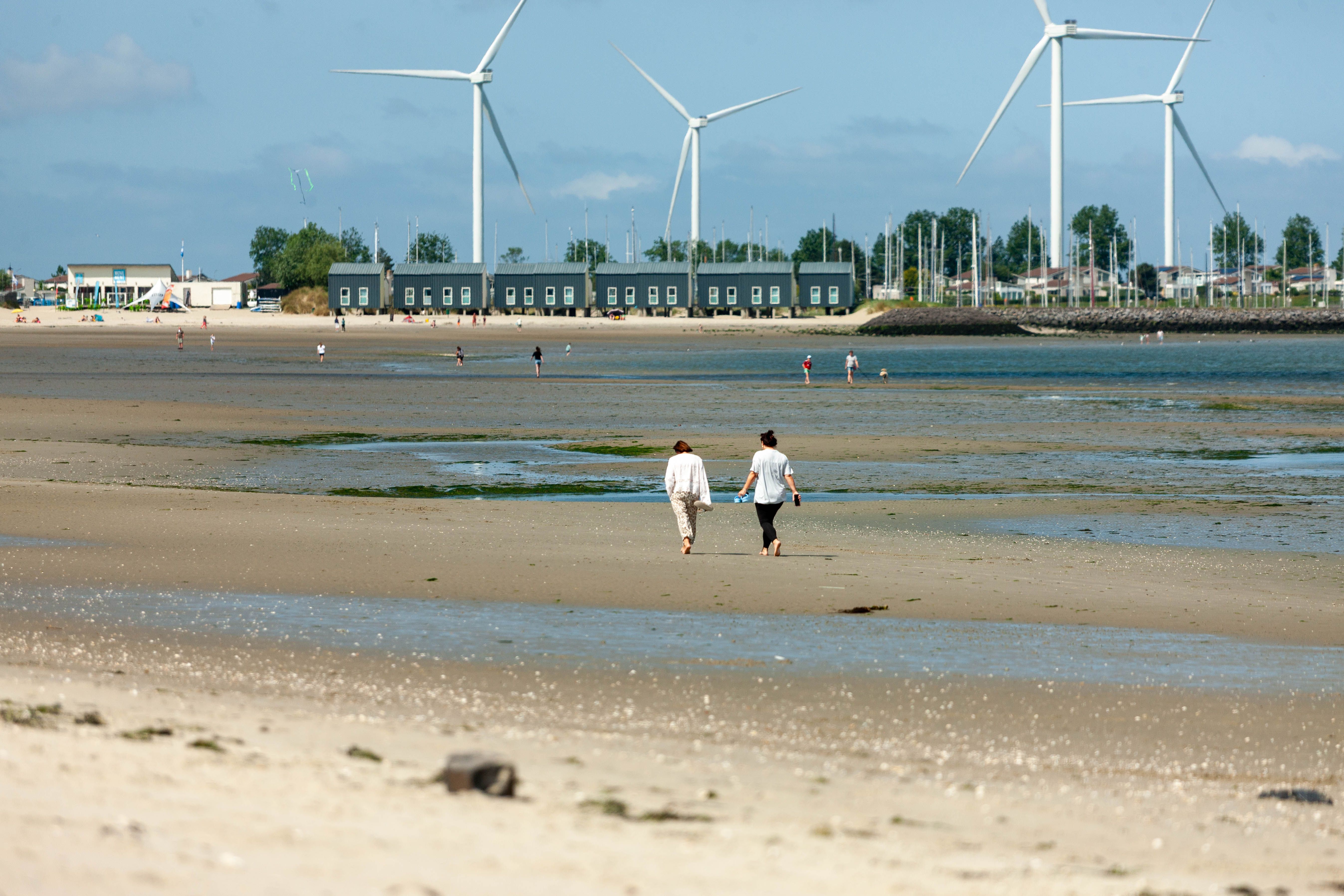 Coastal Relaxation by Wind Turbines · Free Stock Photo