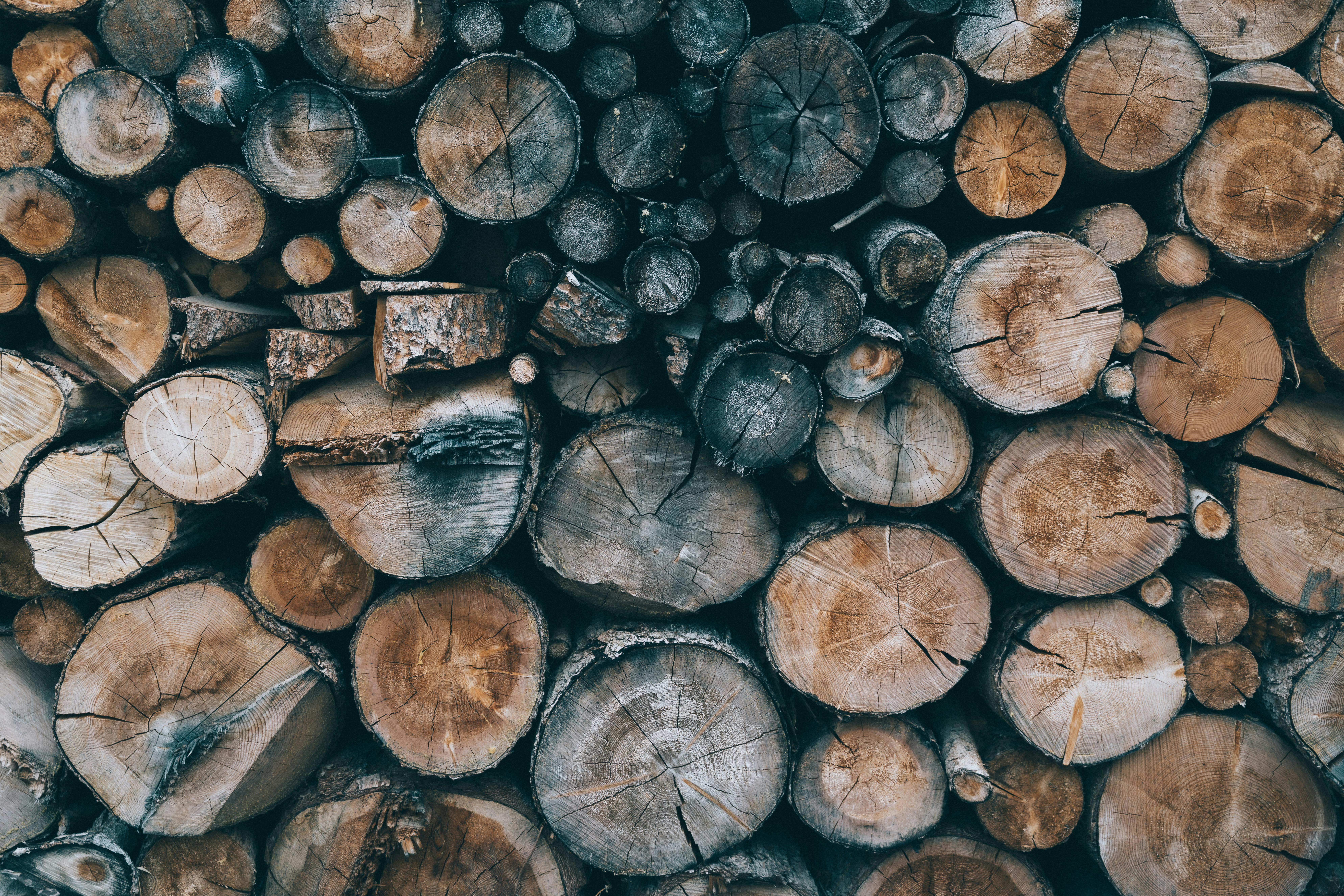 Wood Pattern Texture Photos, Download The BEST Free Wood Pattern ...