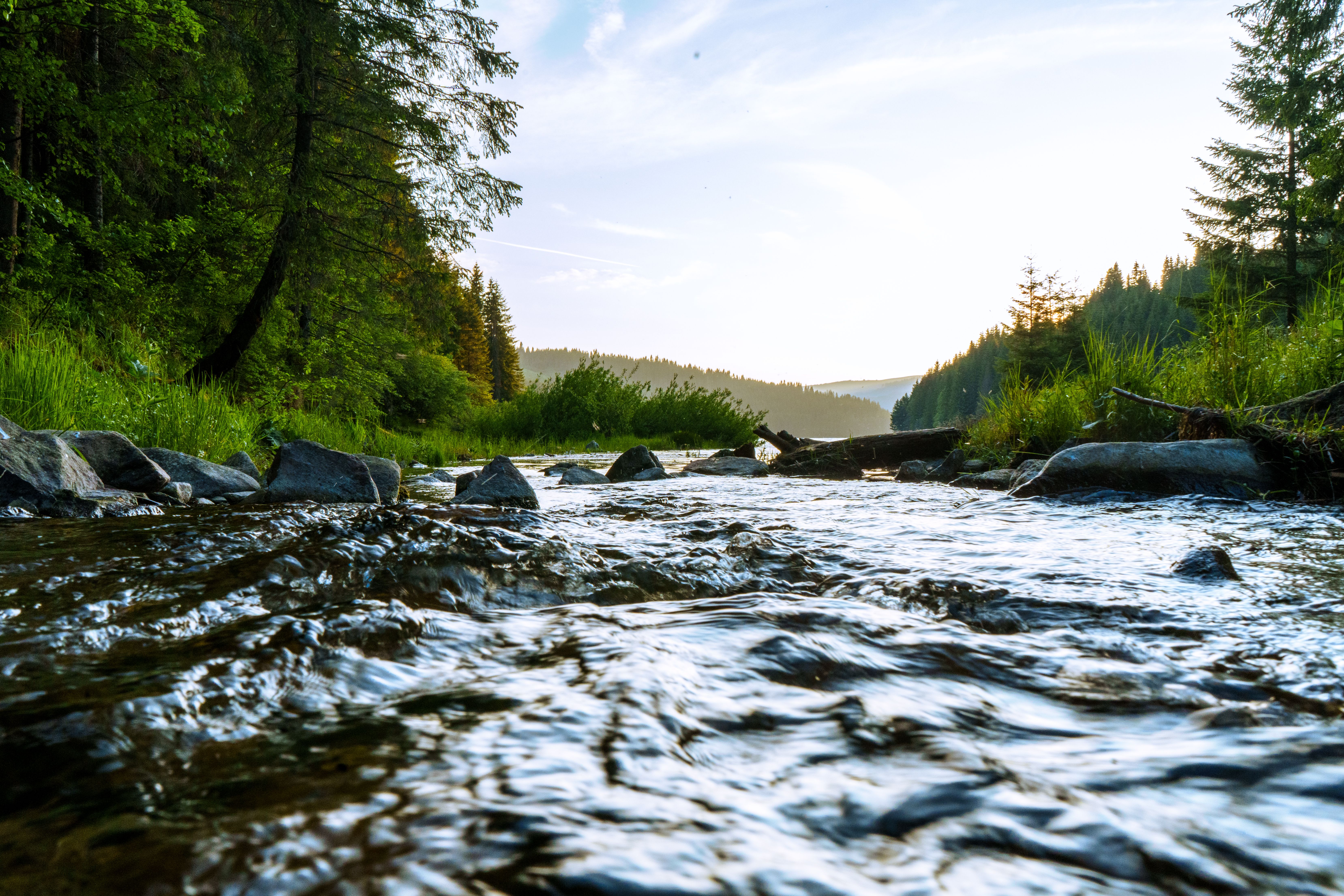 Tranquil River Flowing through Romanian Forest · Free Stock Photo
