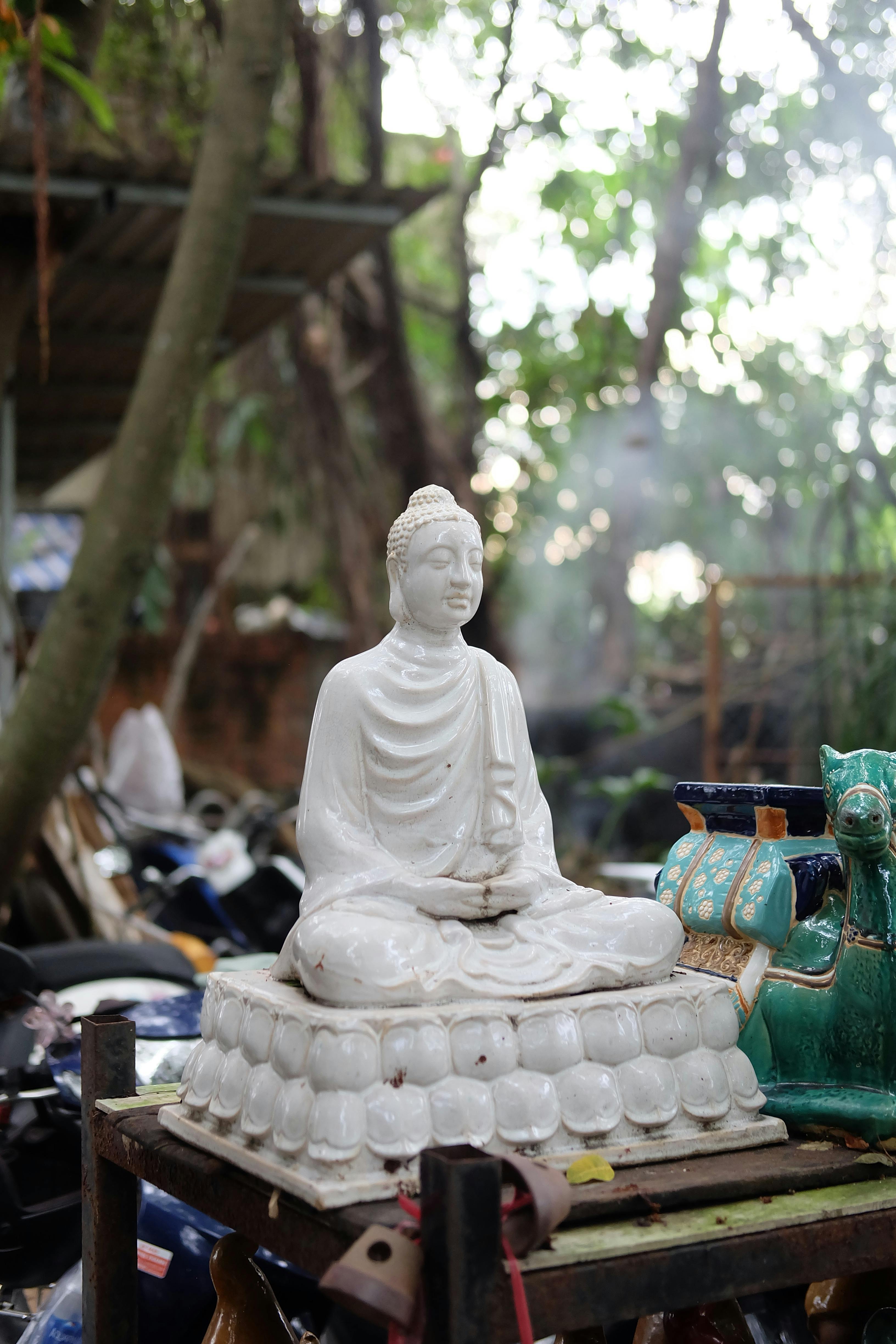 Budh Photos, Download The BEST Free Budh Stock Photos & HD Images