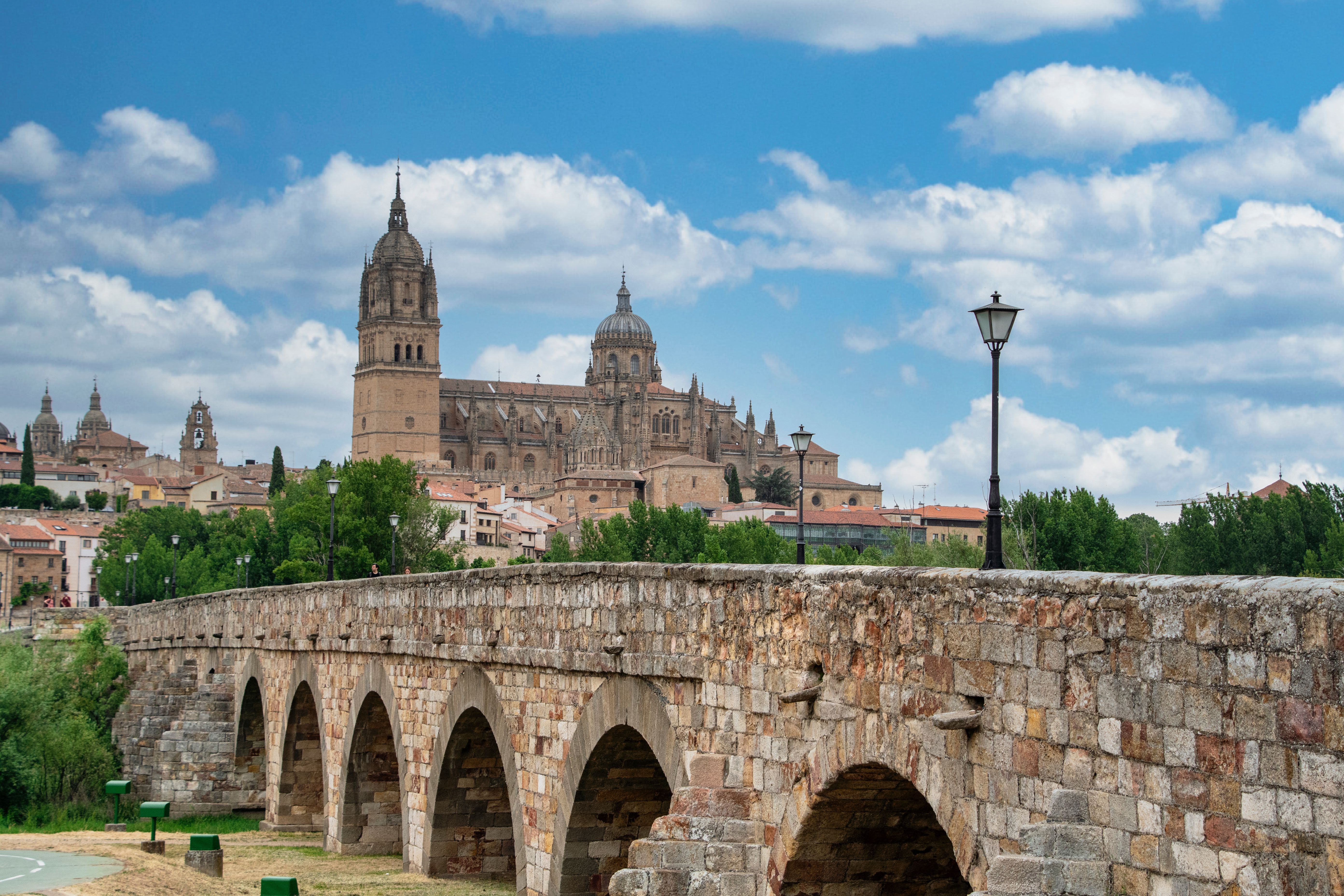 Salamanca Cathedral and Roman Bridge View · Free Stock Photo