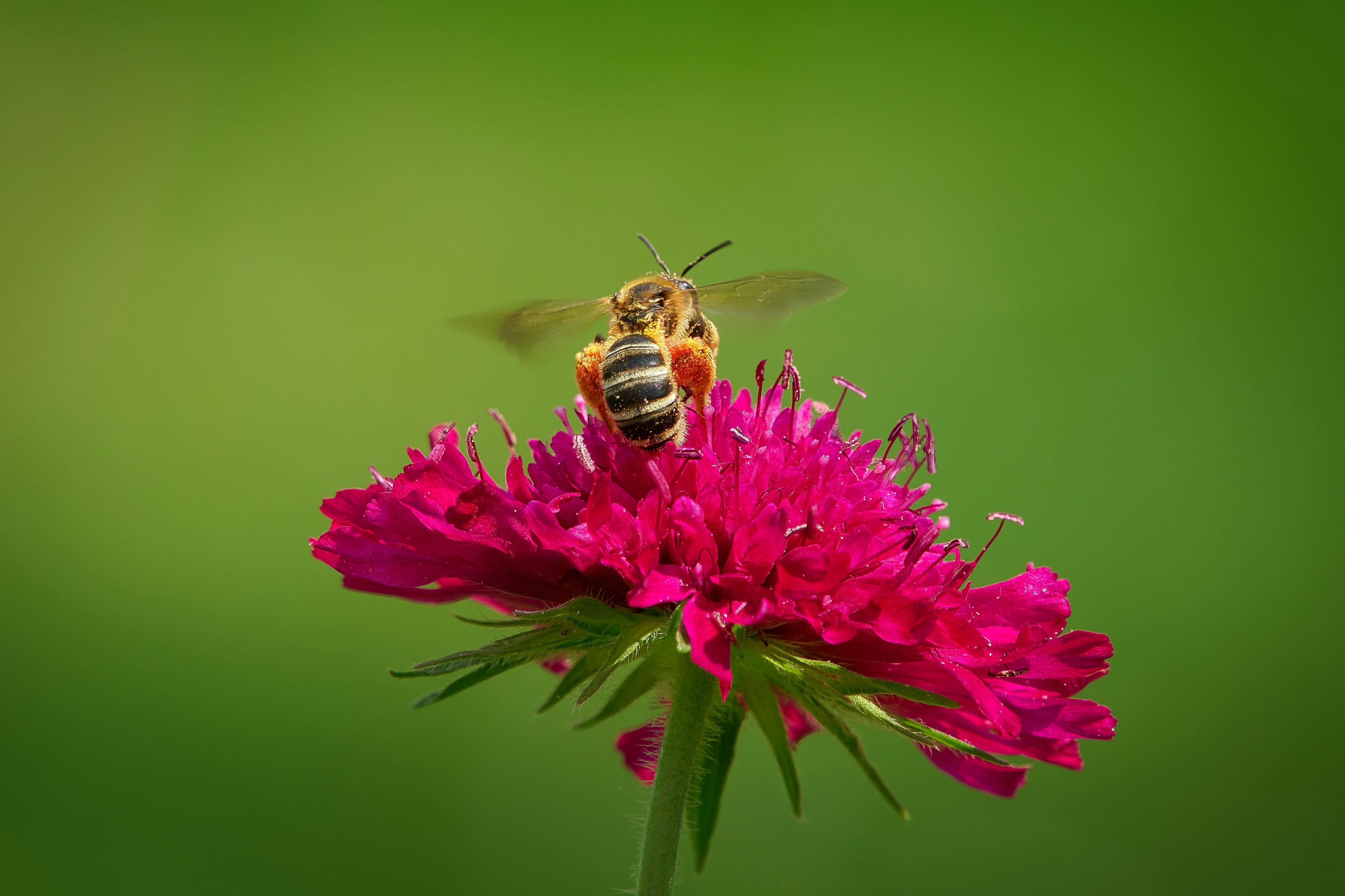 A legjobb 30 000+ 累計116万人を動員した展覧会「デザインあ展neo」2025年春に開催決定！ témájú fotó · 100%-osan ingyenes ...