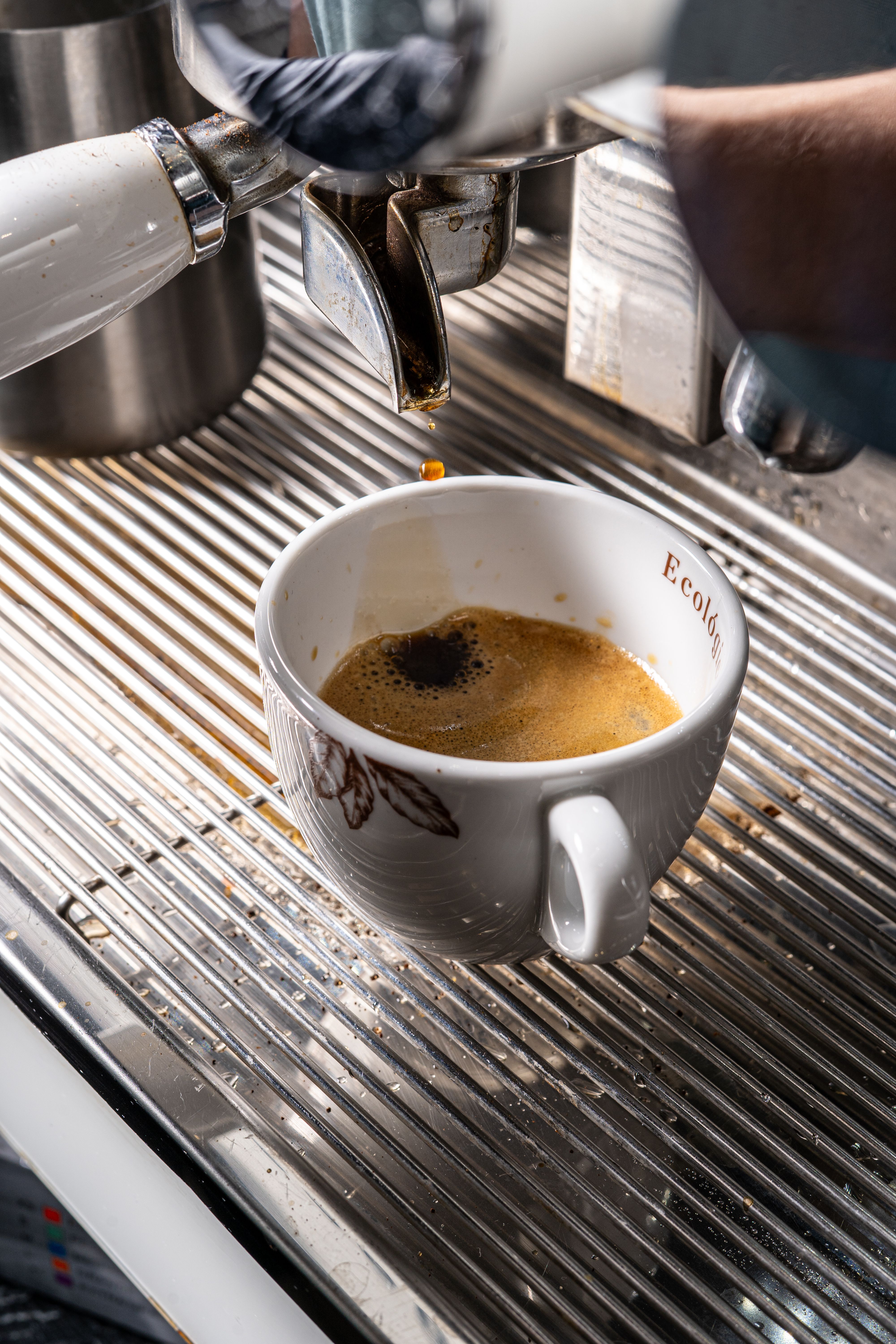 Freshly Brewed Espresso Shot in Café Setting · Free Stock Photo