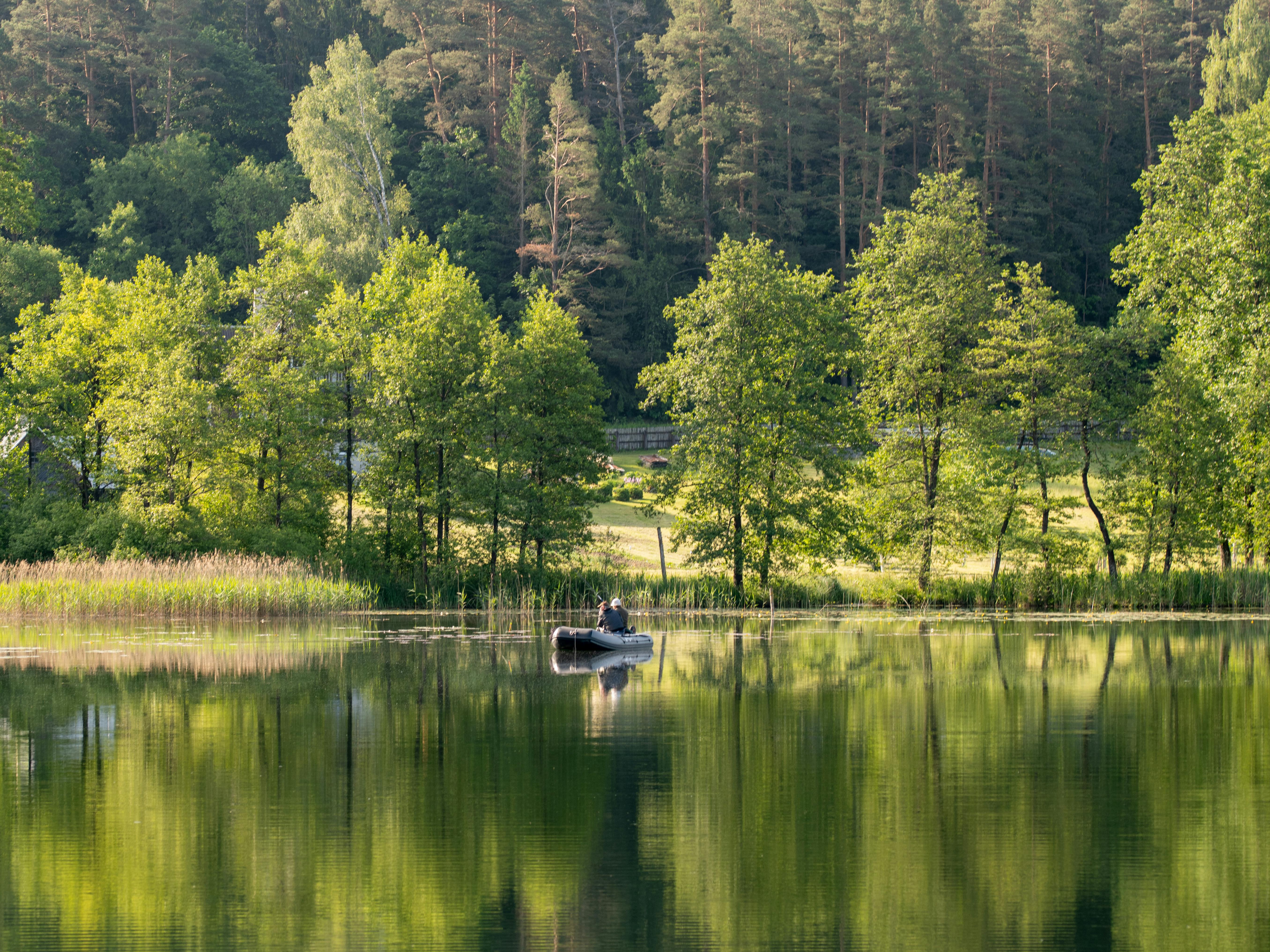 Peaceful Fishing on a Serene Lithuanian Lake · Free Stock Photo