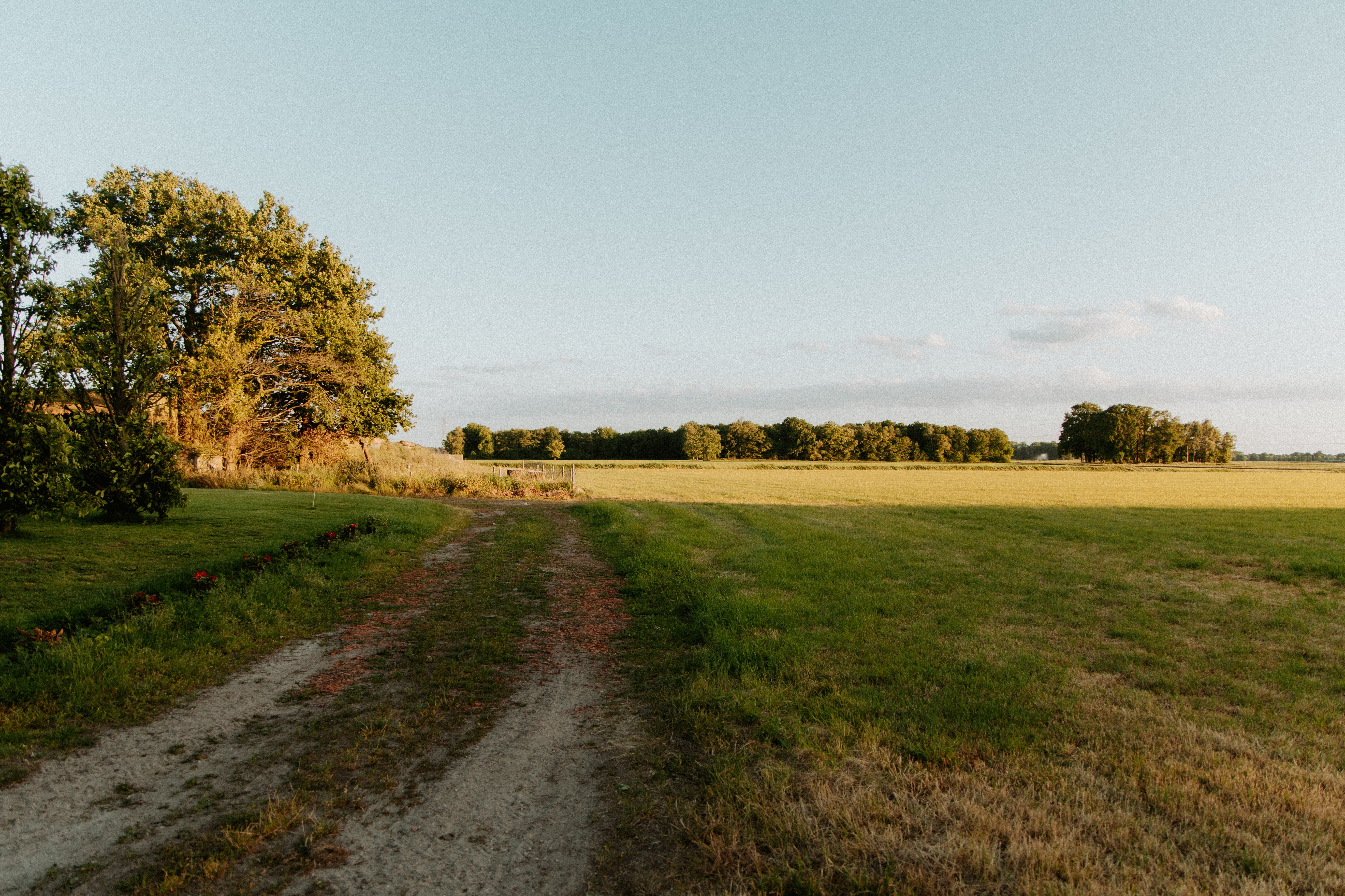 Serene Countryside Path at Golden Hour · Free Stock Photo