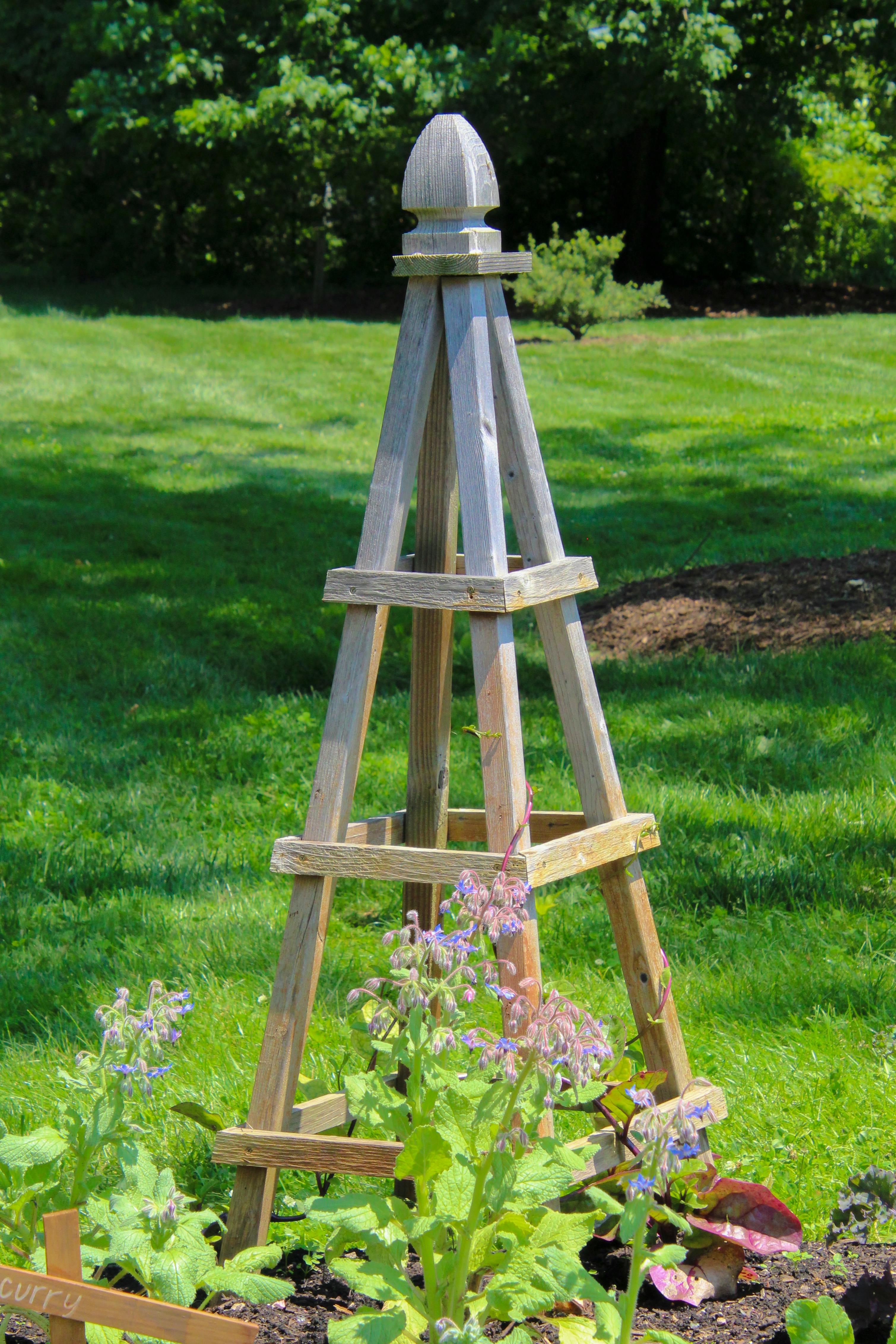 Polymer Tipped Photos, Download The BEST Free Polymer Tipped Stock ...