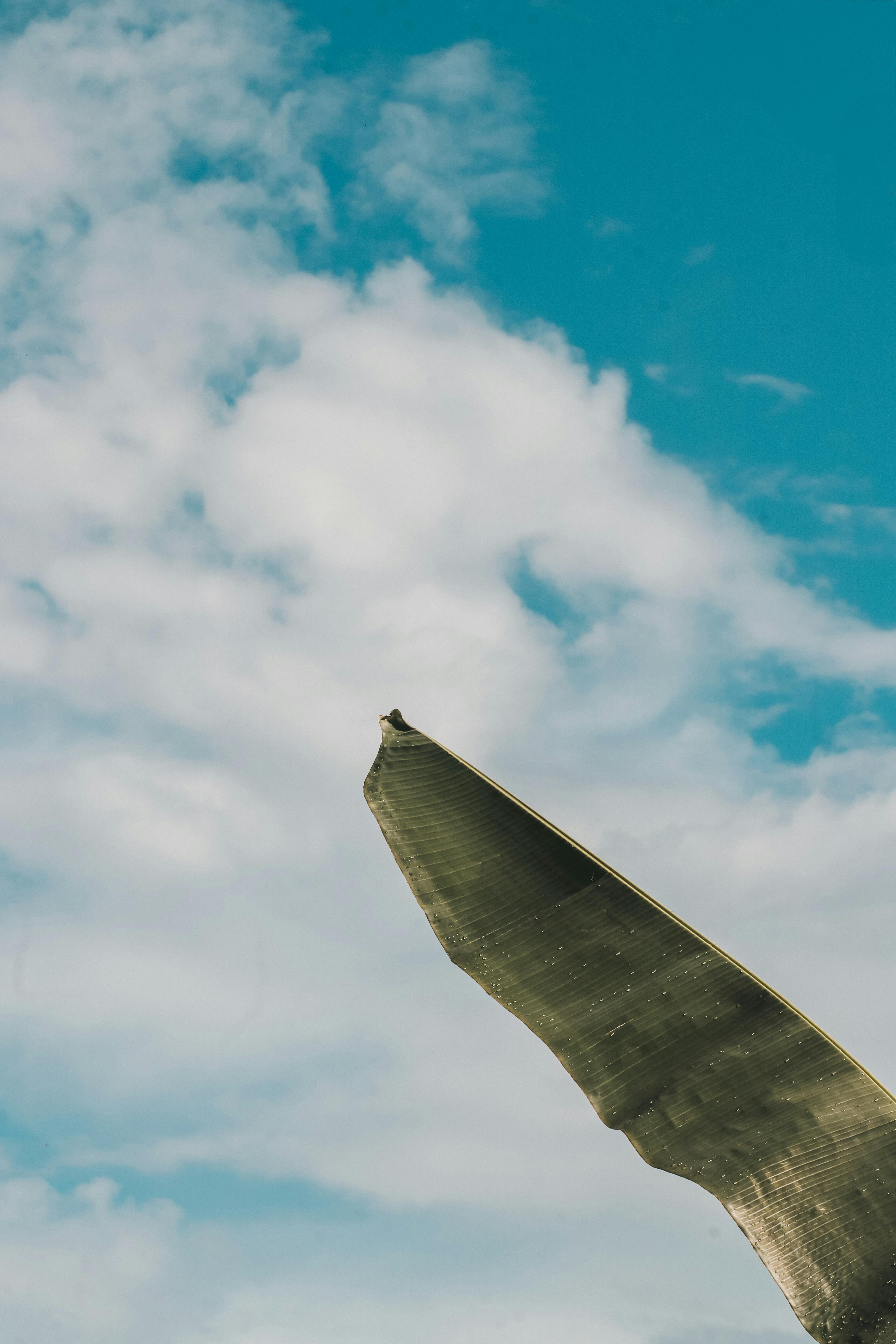 Dramatic Airplane Wing Against Open Sky · Free Stock Photo