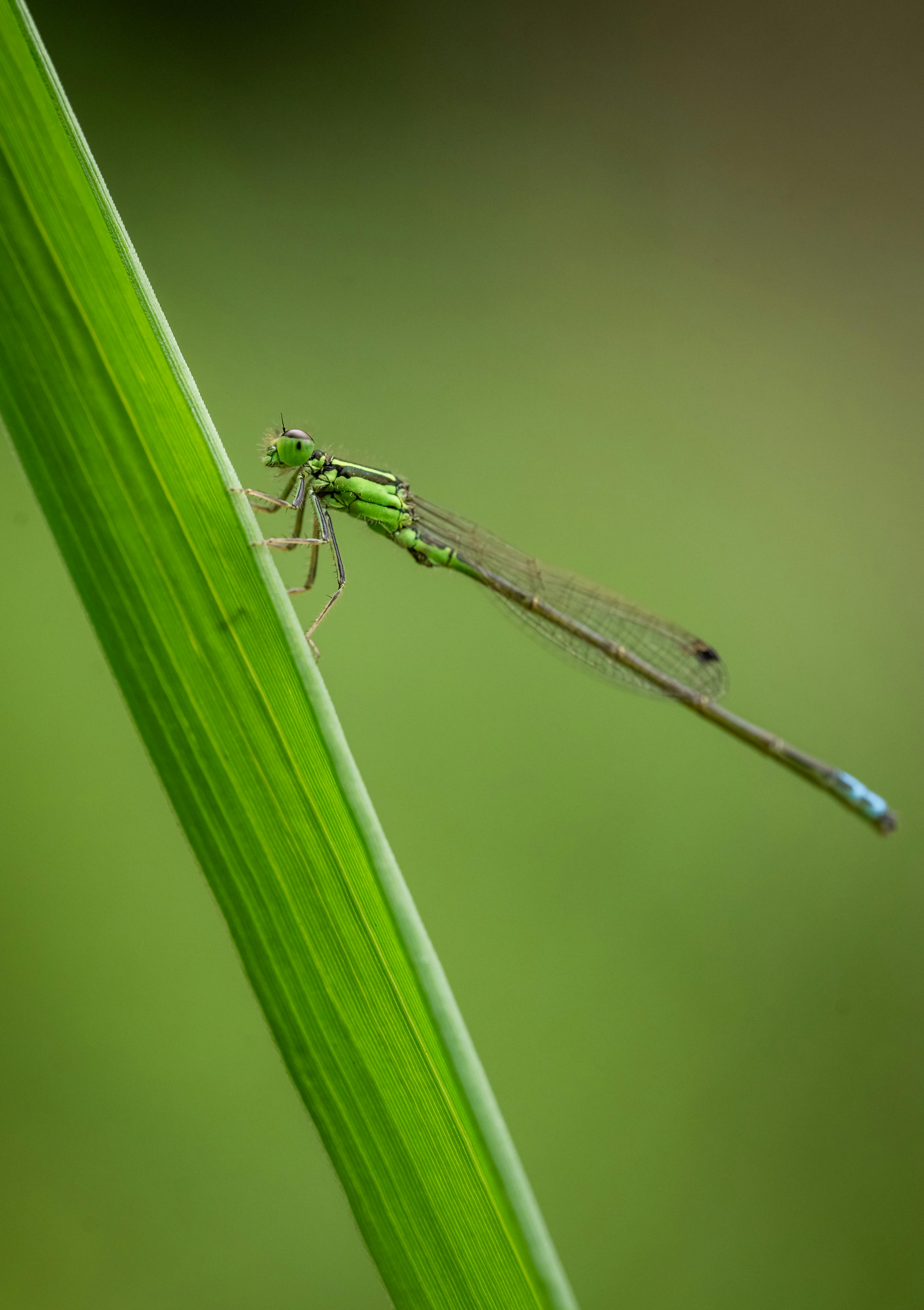 Fragile Photos, Download The BEST Free Fragile Stock Photos & HD Images