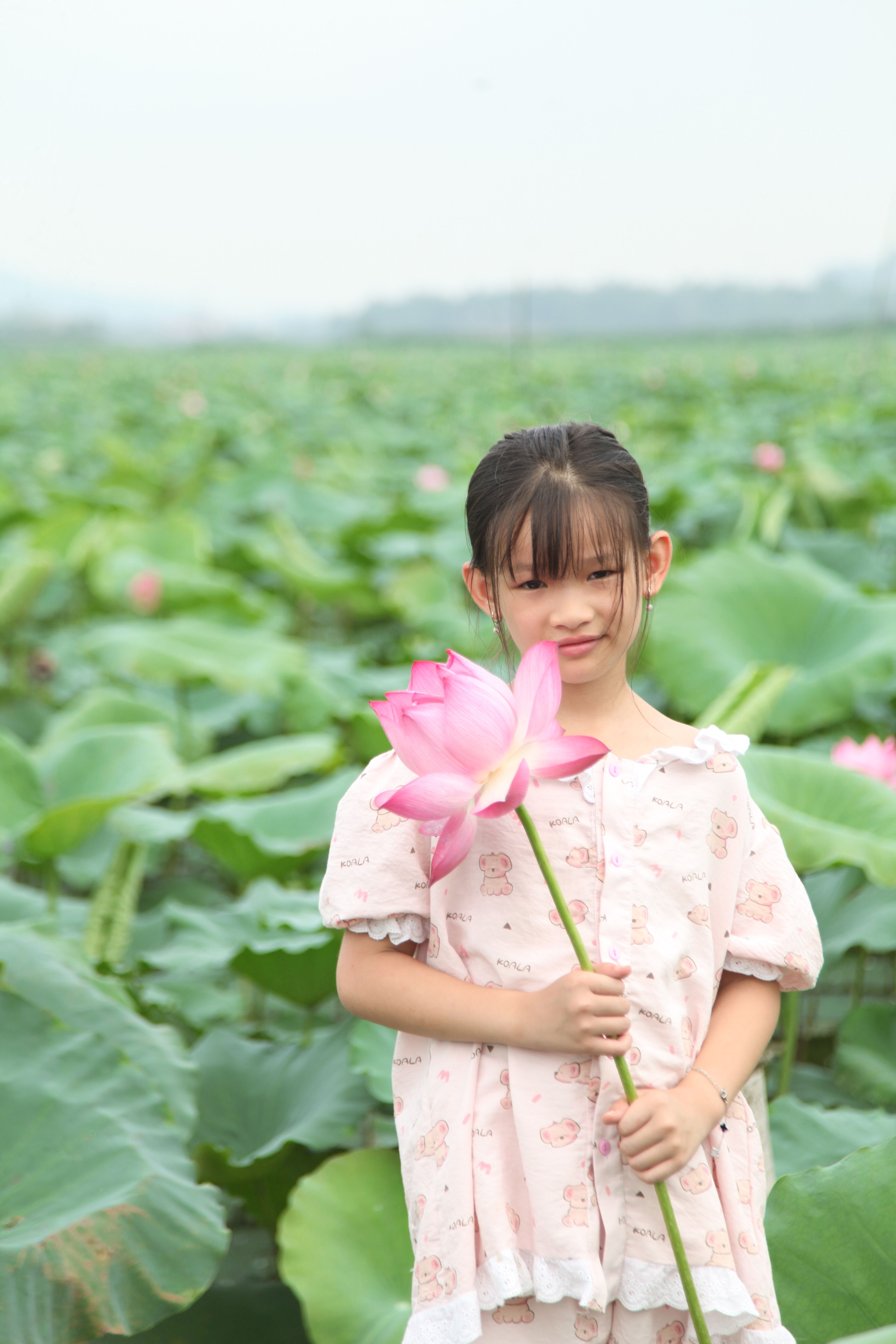 Young Girl Holding Lotus Flower in Bloom · Free Stock Photo