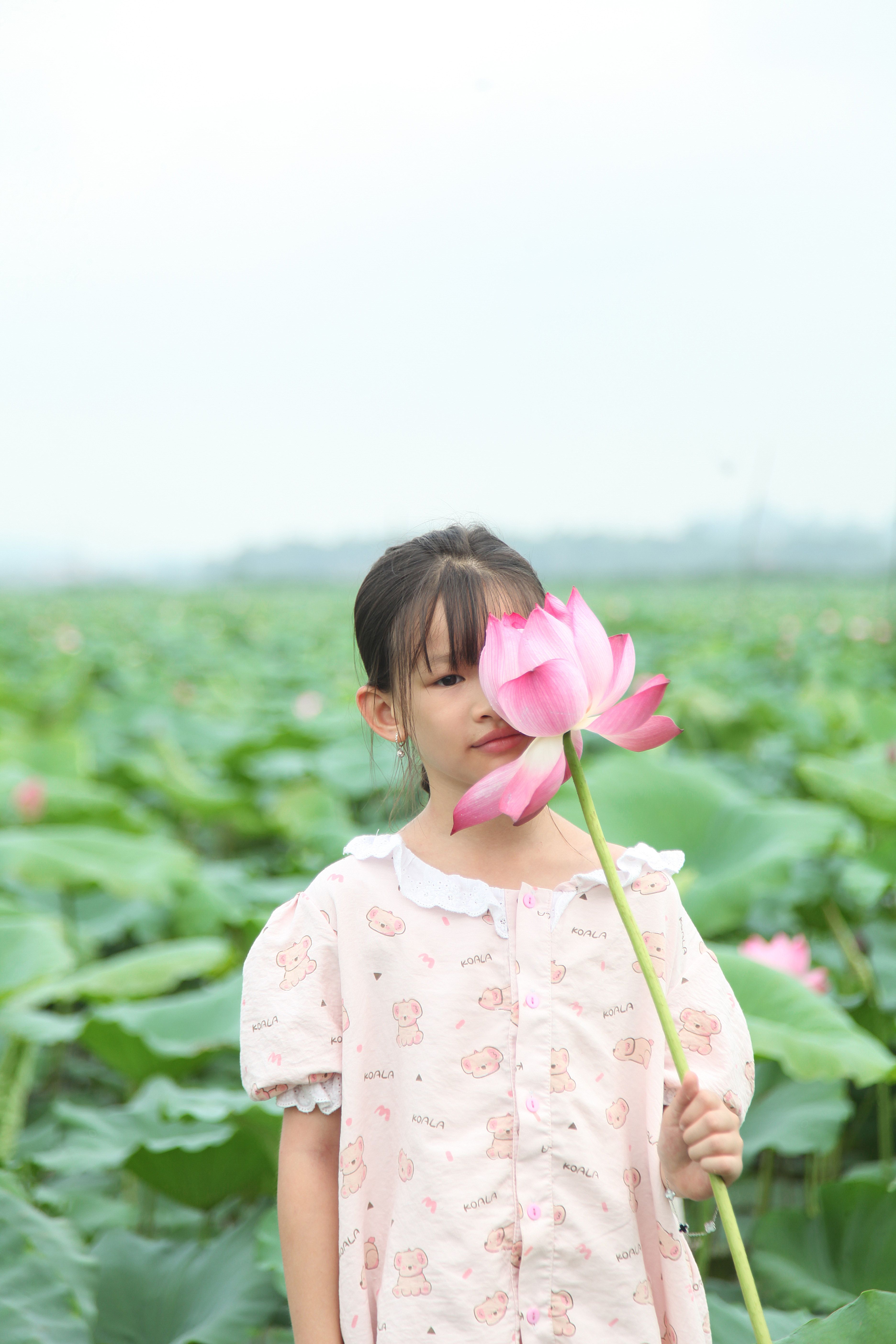 Young Girl Holding Lotus Flower in Bloom · Free Stock Photo