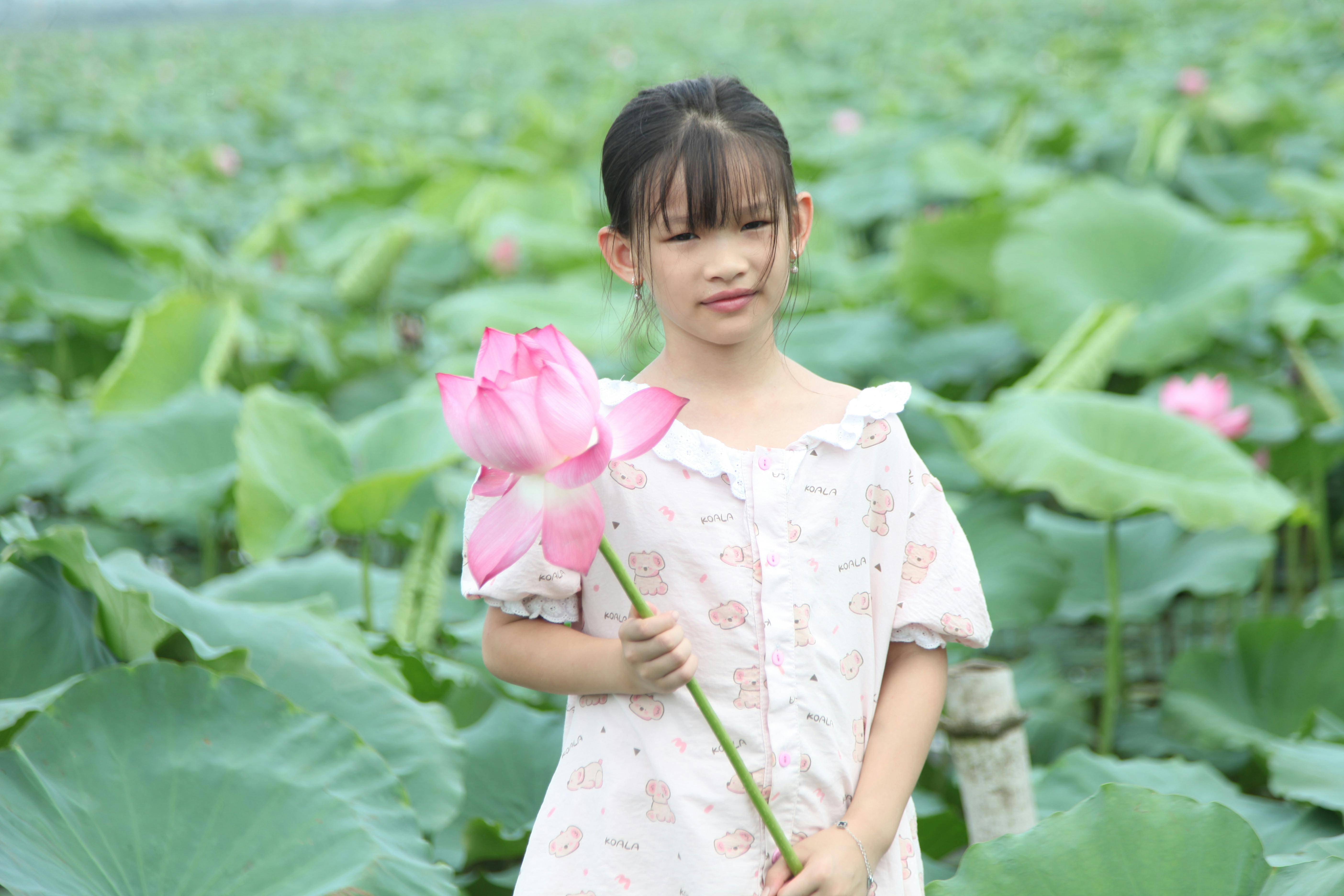 Flower Portrait Photos, Download The BEST Free Flower Portrait Stock ...