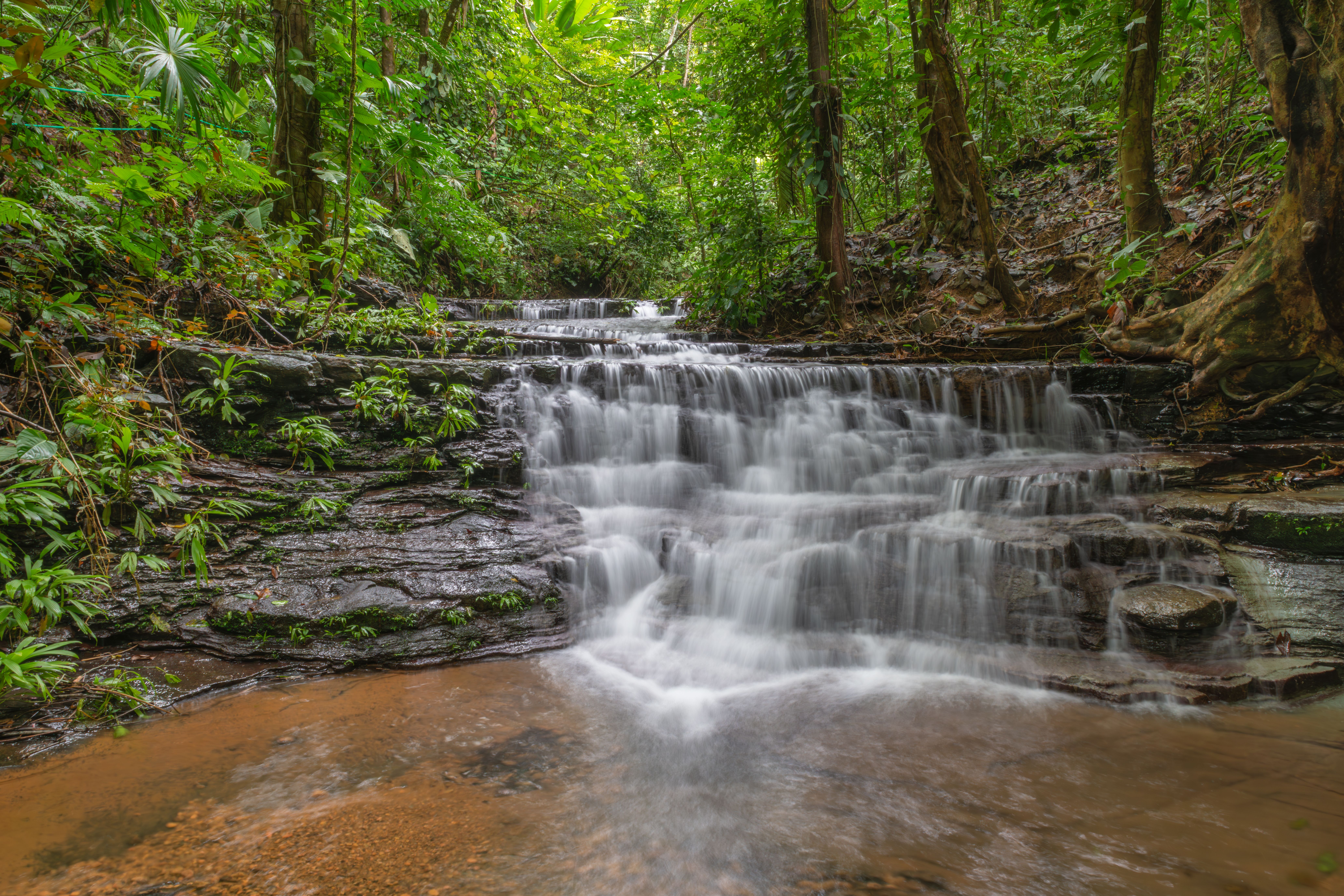 Scenic Waterfall in Costa Rican Rainforest · Free Stock Photo
