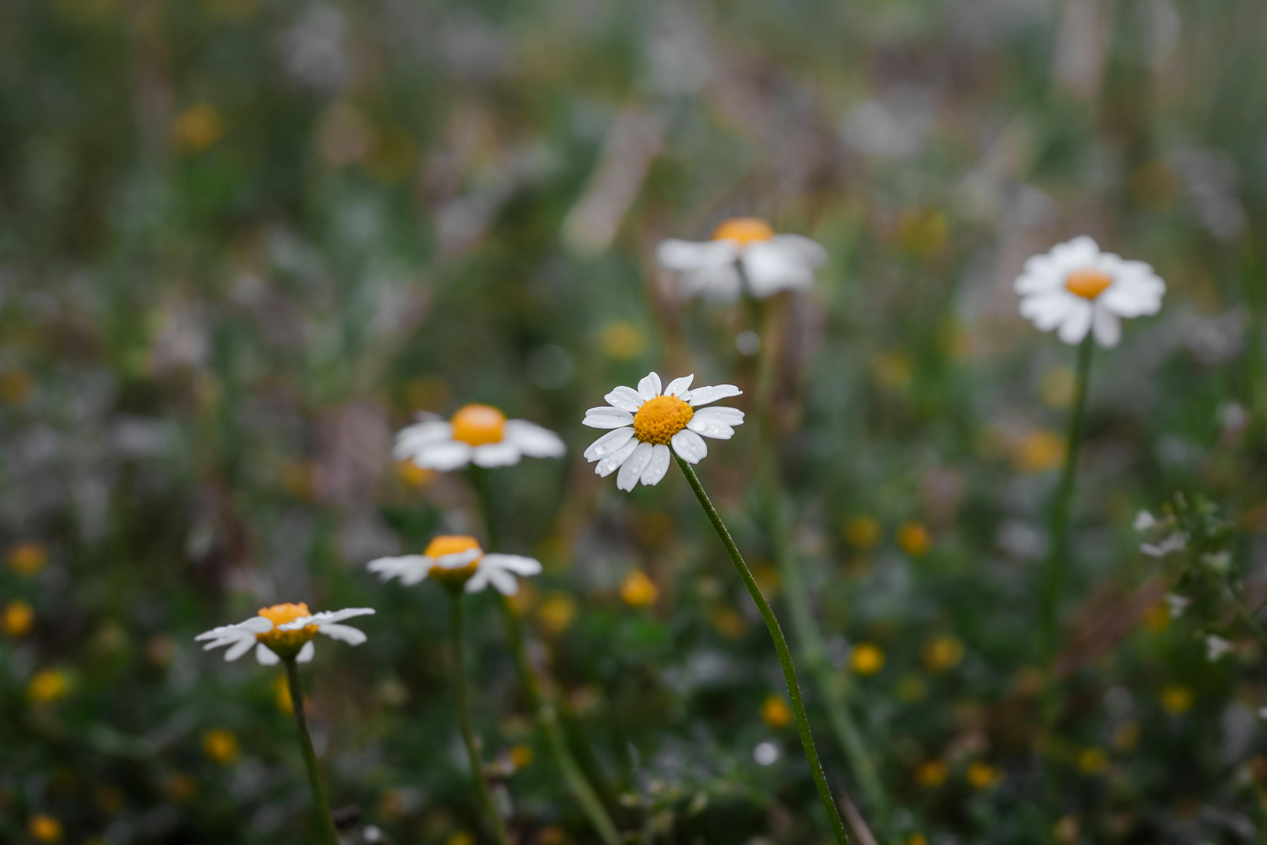 Calming Wallpaper Desktop Photos, Download The BEST Free Calming ...