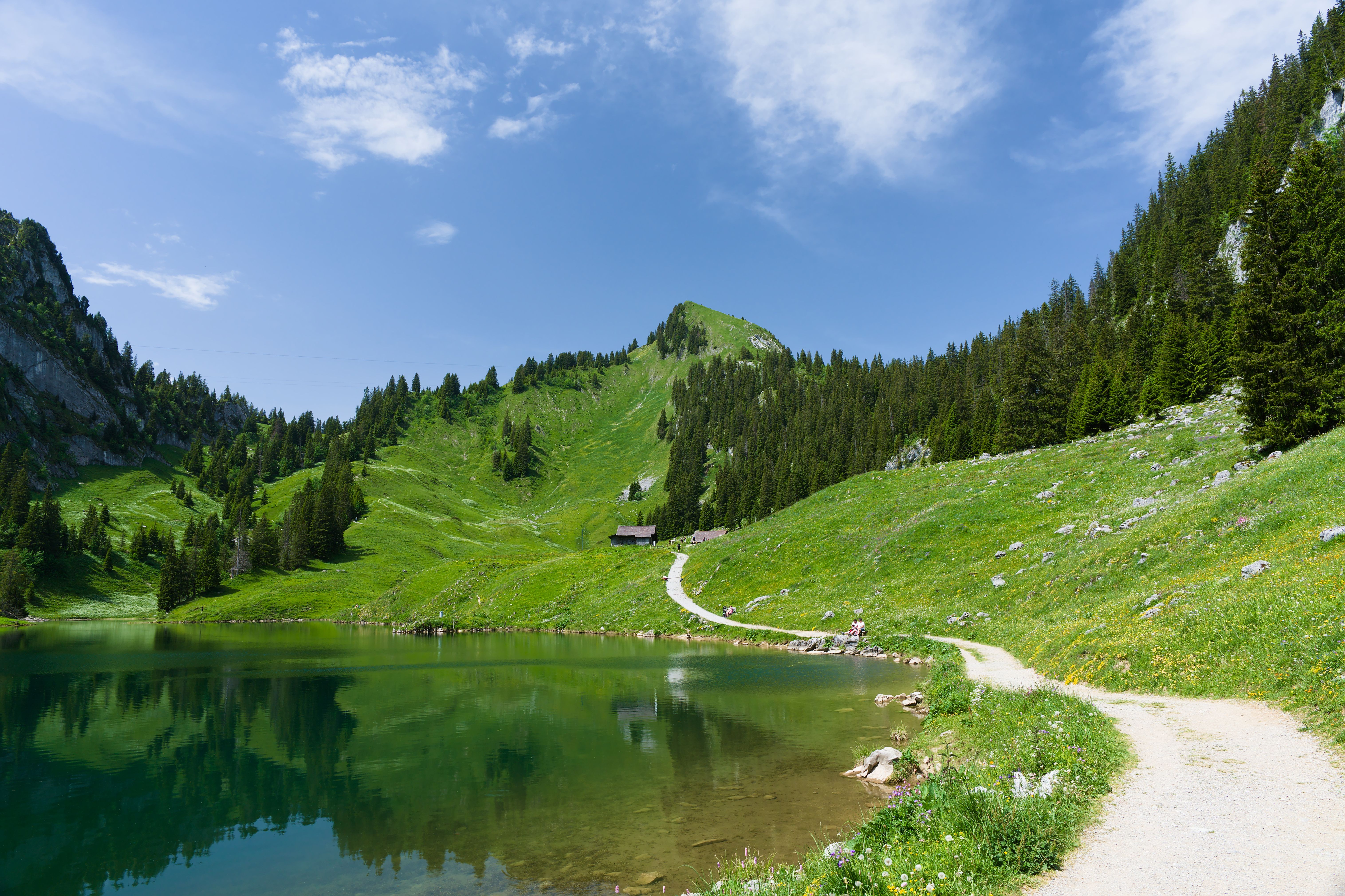 Scenic View of Swiss Mountain Lake in Summer · Free Stock Photo