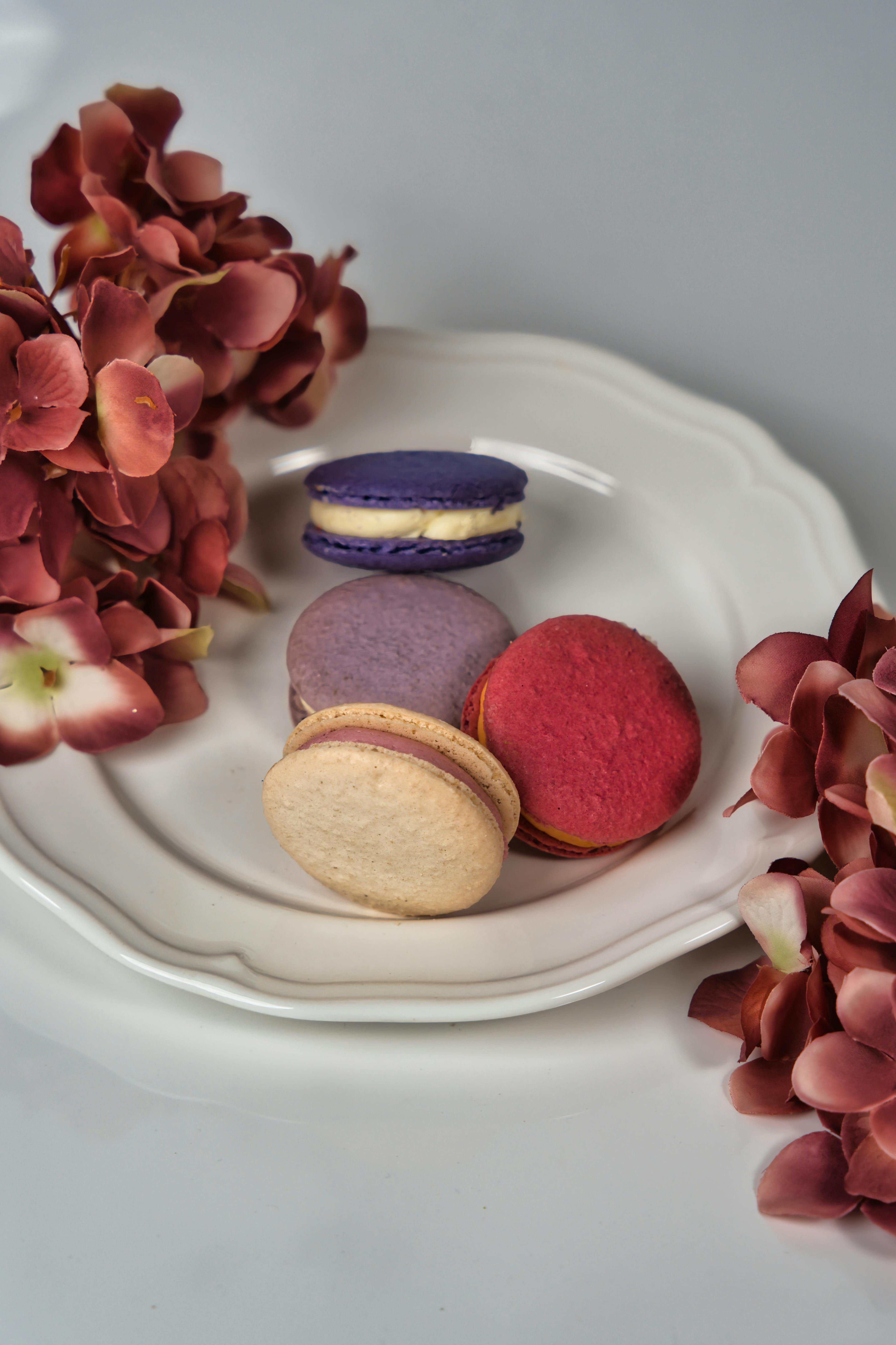 Pleasant Plating Cupcakes on White Ceramic Plate · Free Stock Photo