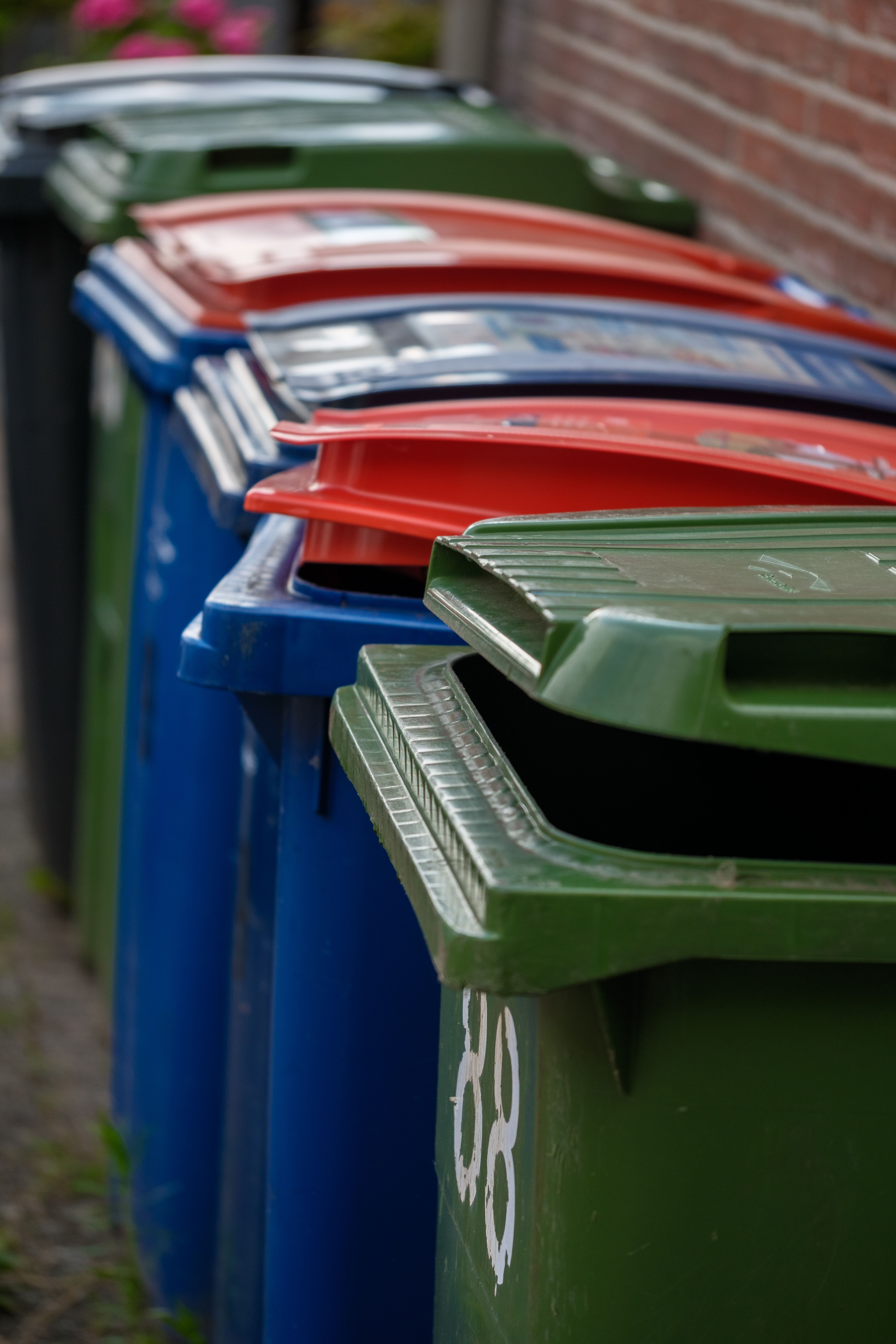 Assorted Color Plastic Trash Bins · Free Stock Photo
