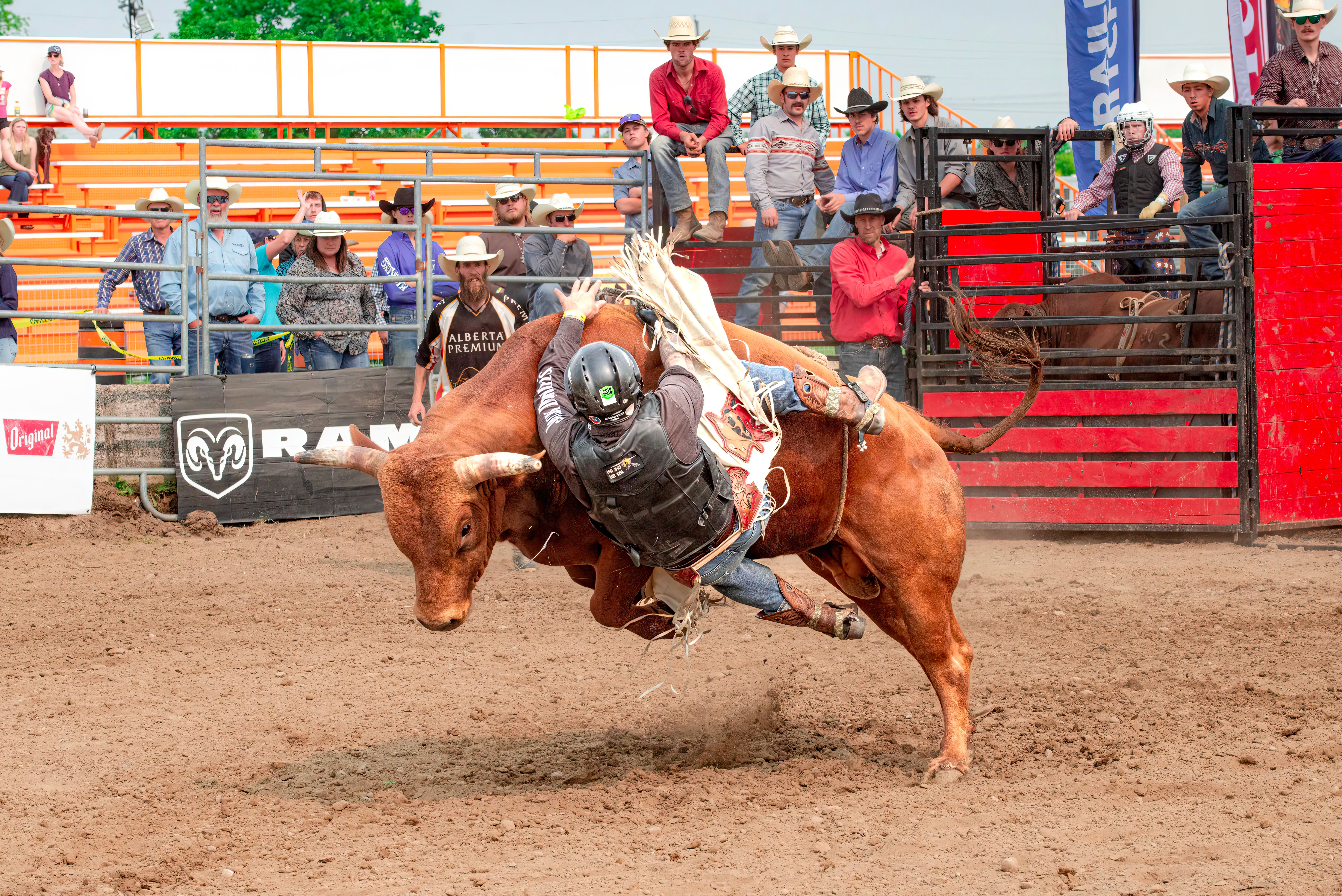 Bull Riding Photos, Download The BEST Free Bull Riding Stock Photos ...