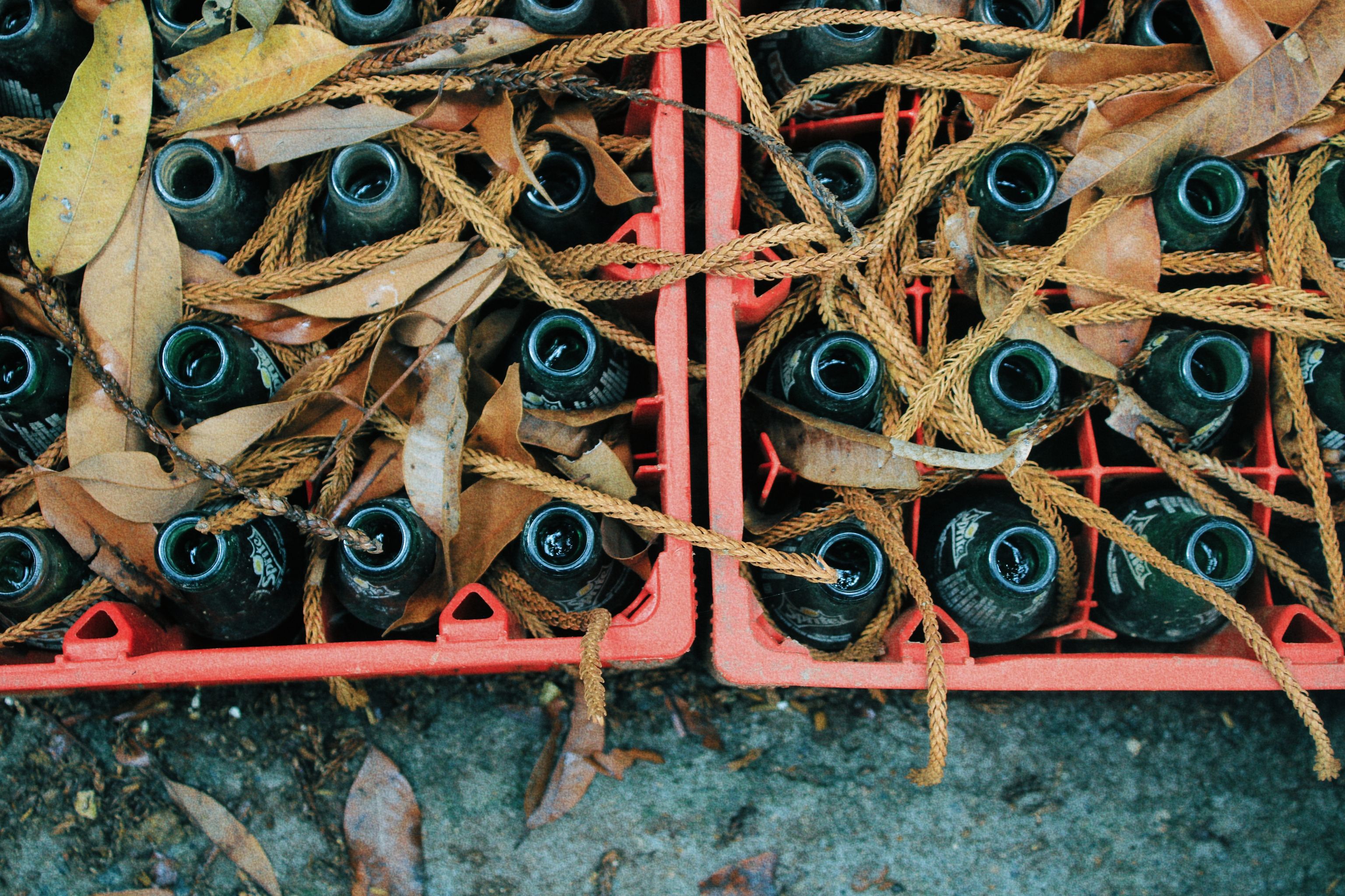 Reuse Photos, Download The BEST Free Reuse Stock Photos & HD Images