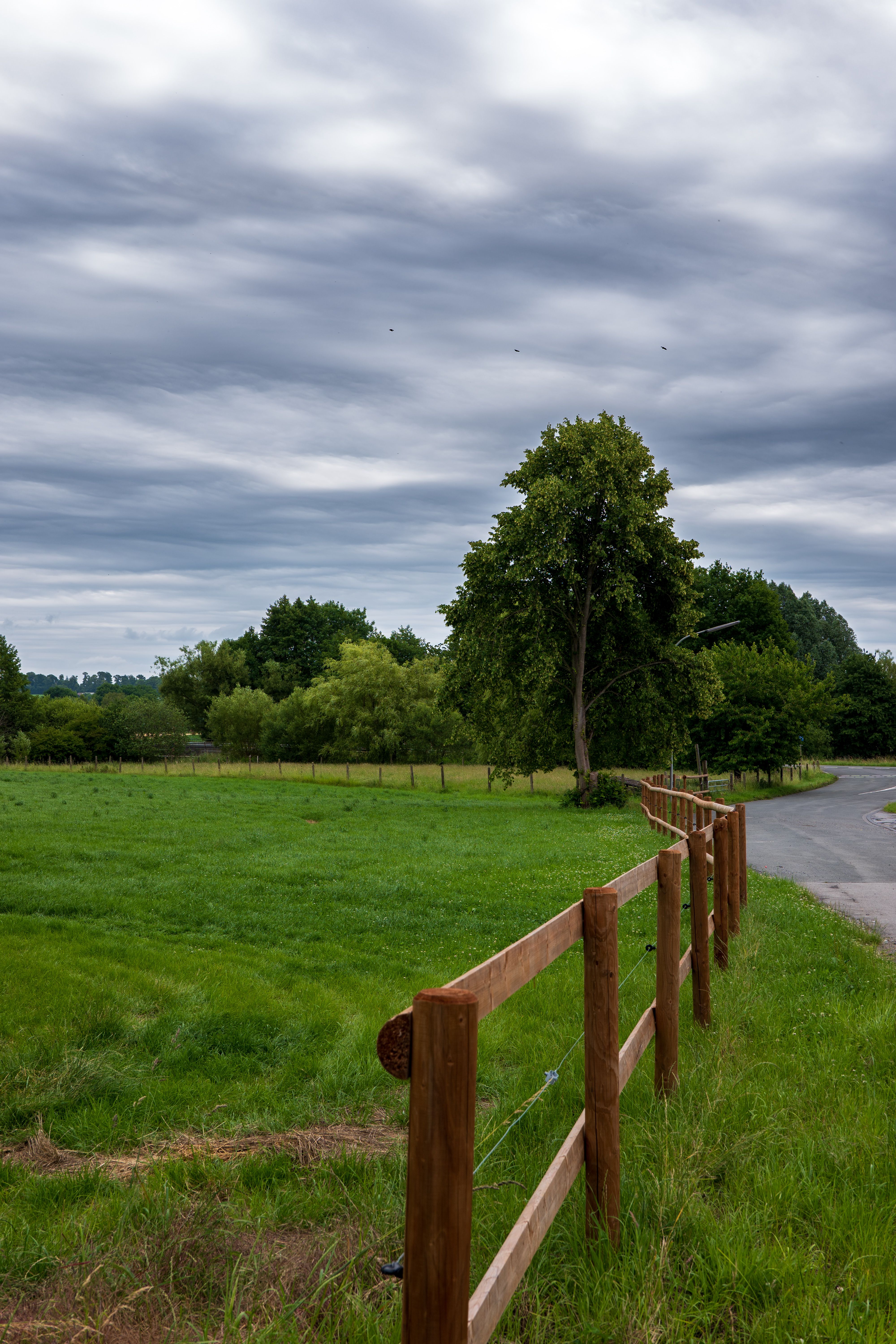 Scenic Countryside Landscape with Tall Tree · Free Stock Photo