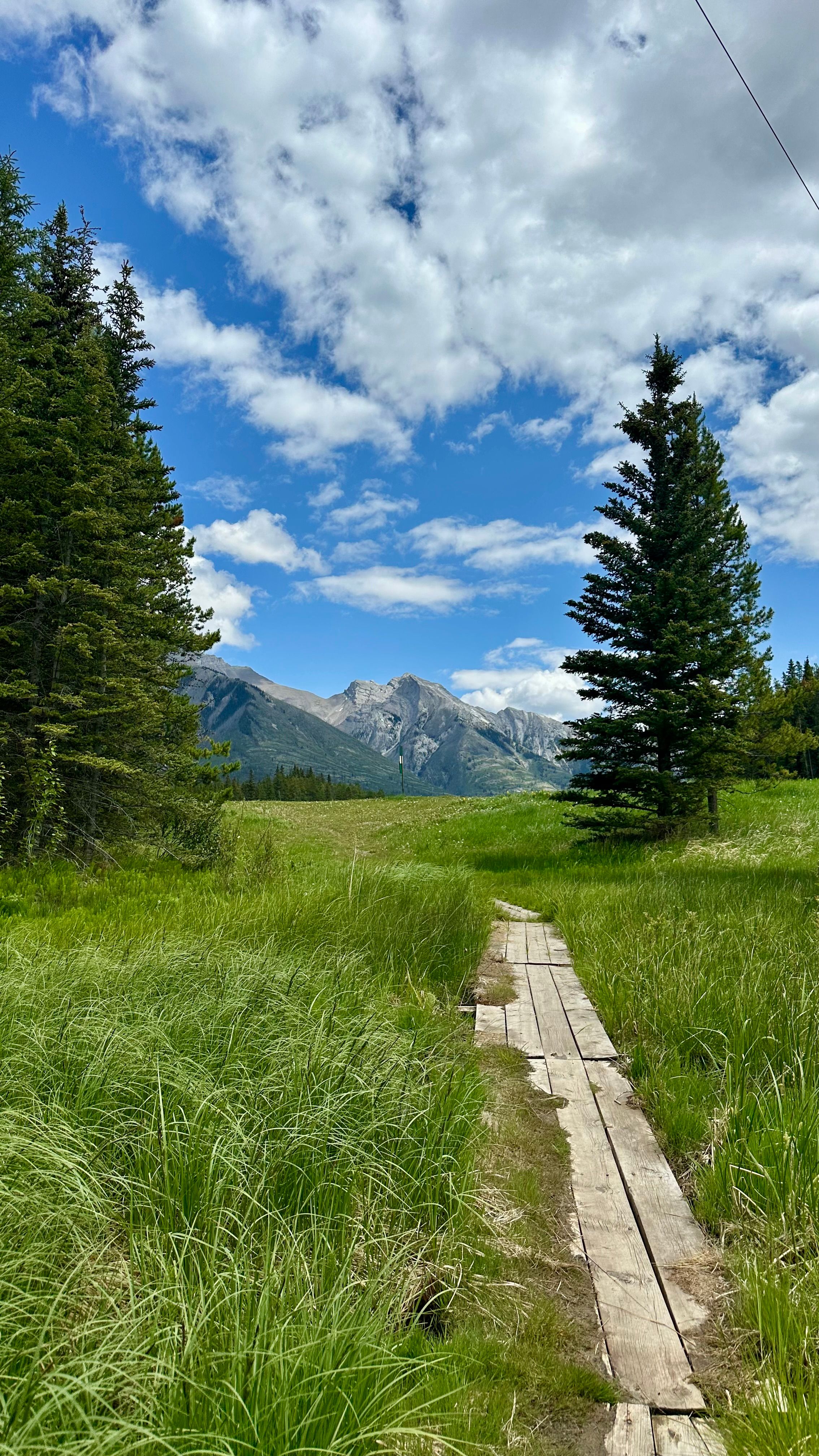 Scenic Mountain Pathway in Lush Green Field · Free Stock Photo