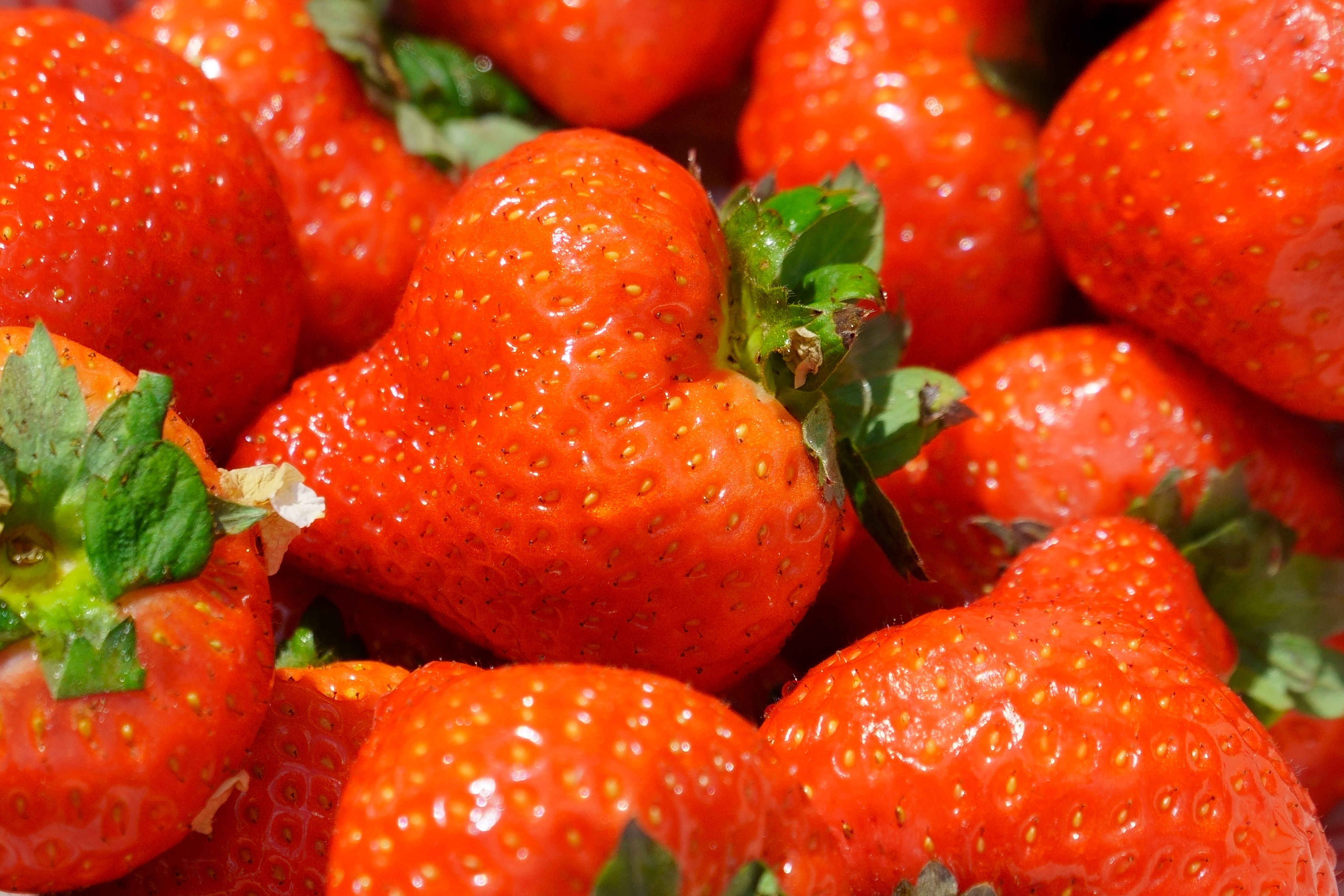 Fruit Frs Photos, Download The BEST Free Fruit Frs Stock Photos & HD Images