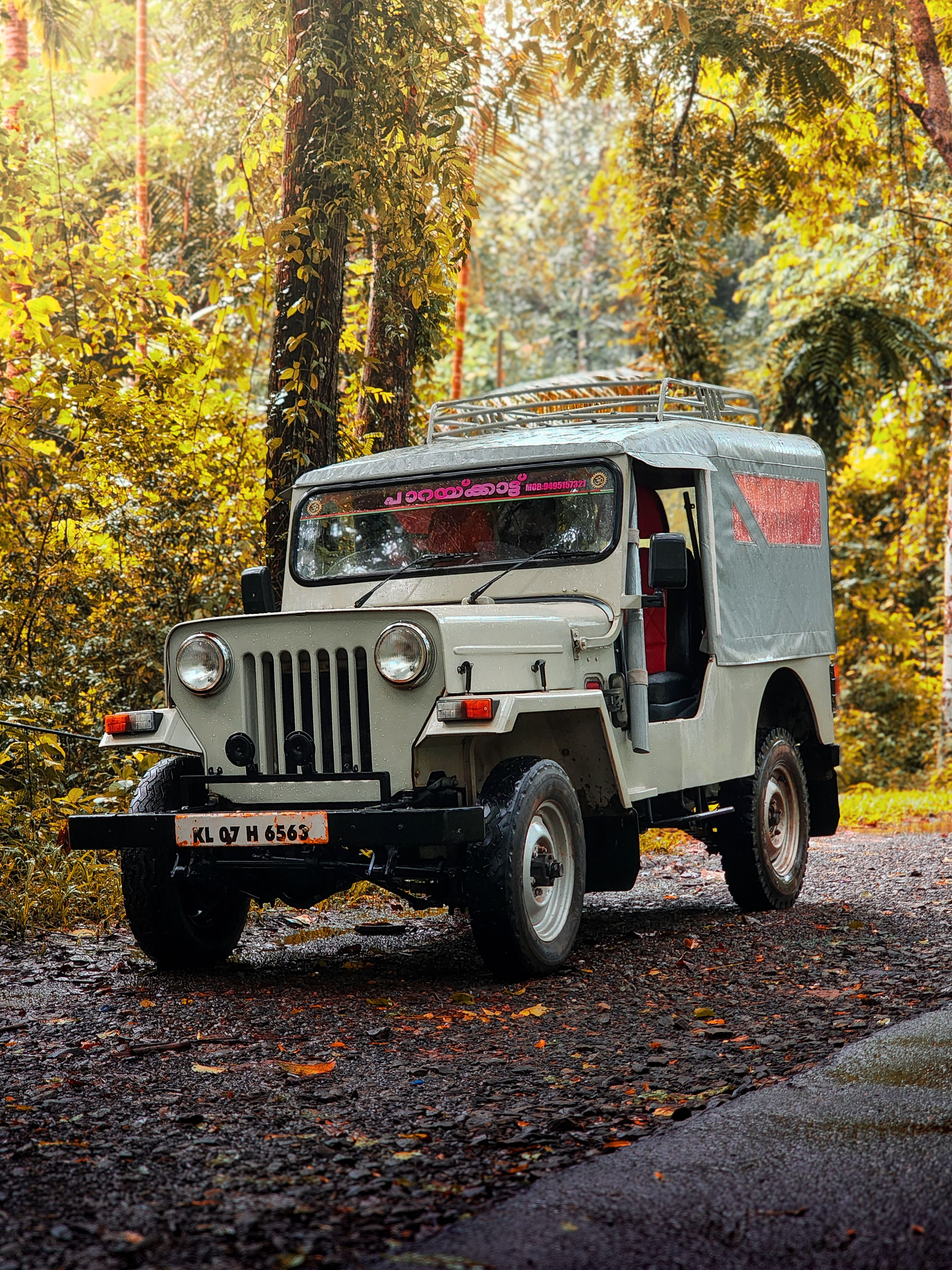 Classic Jeep in Lush Forest Setting · Free Stock Photo