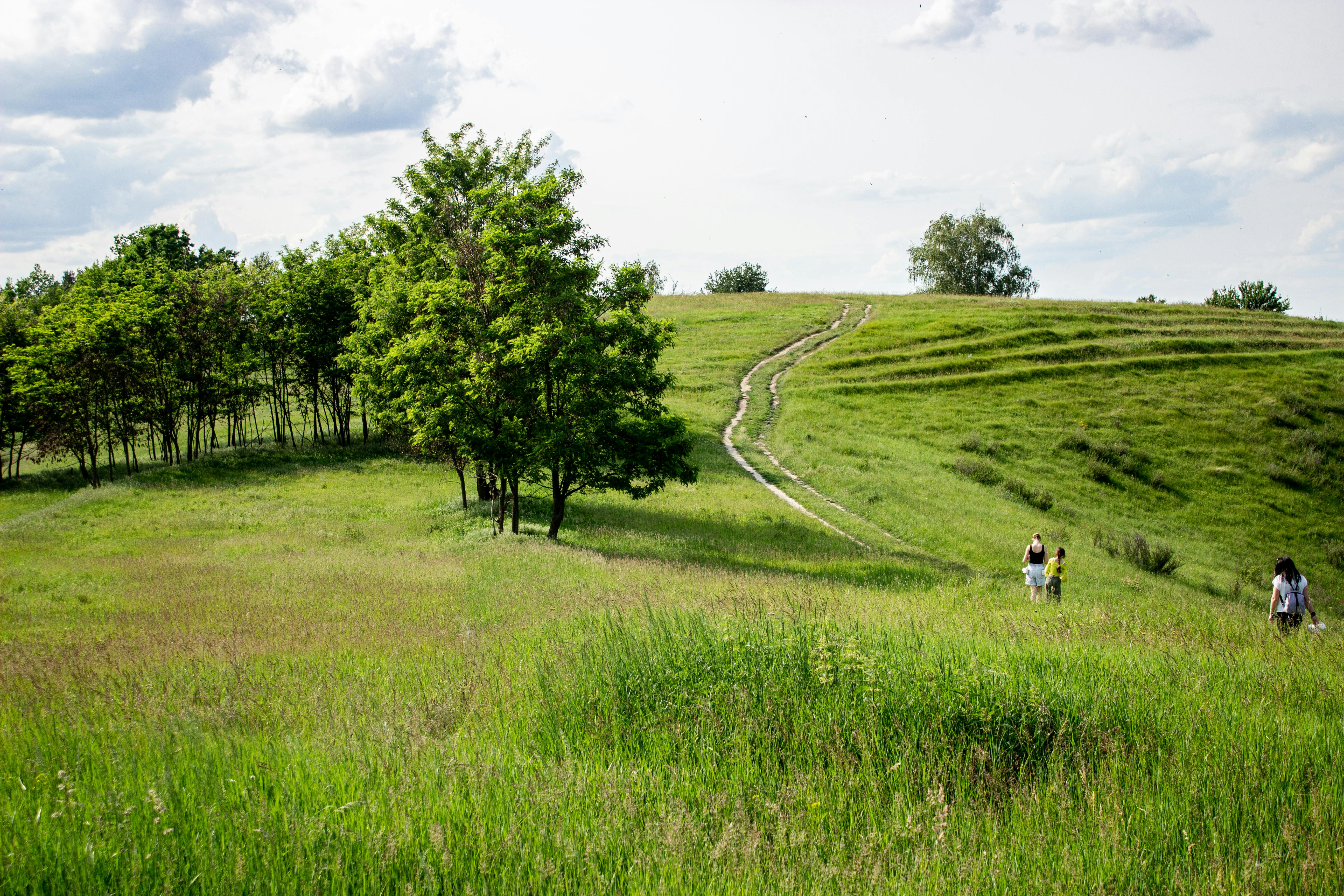 Field For Hikers Photos, Download The BEST Free Field For Hikers Stock ...