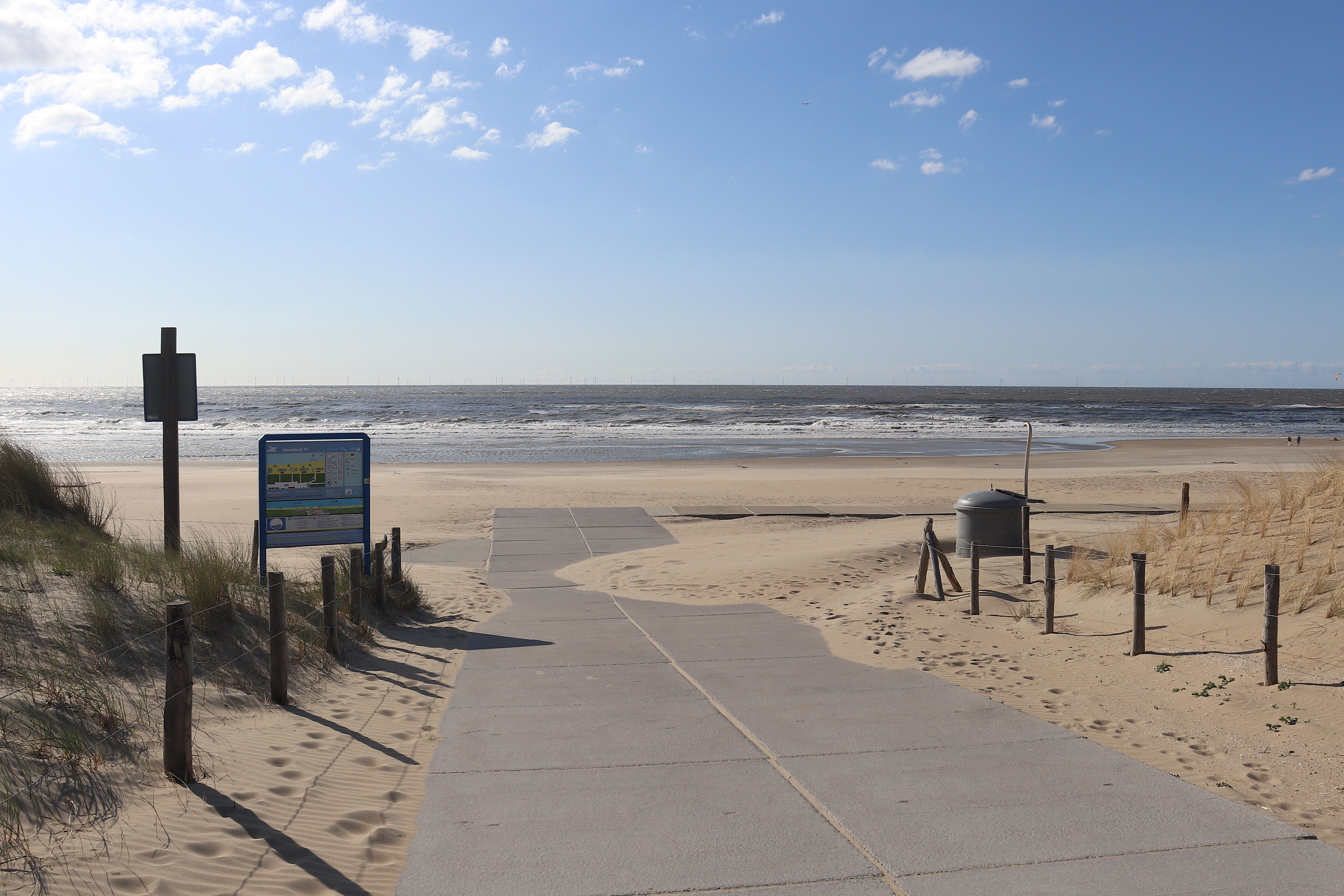 Scenic Beach Pathway Leading to Ocean · Free Stock Photo