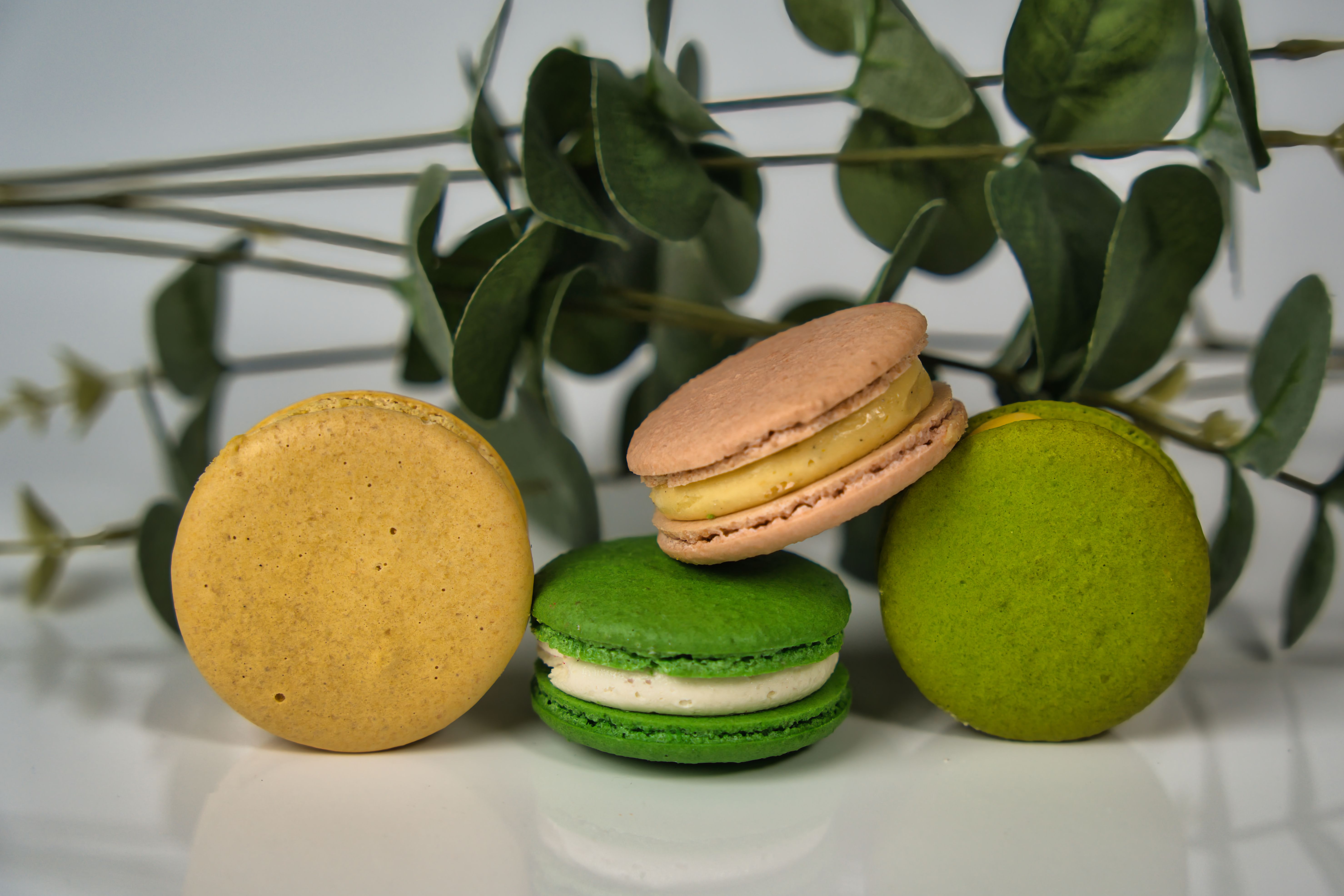 Vibrant Assortment of Flavored Macarons · Free Stock Photo